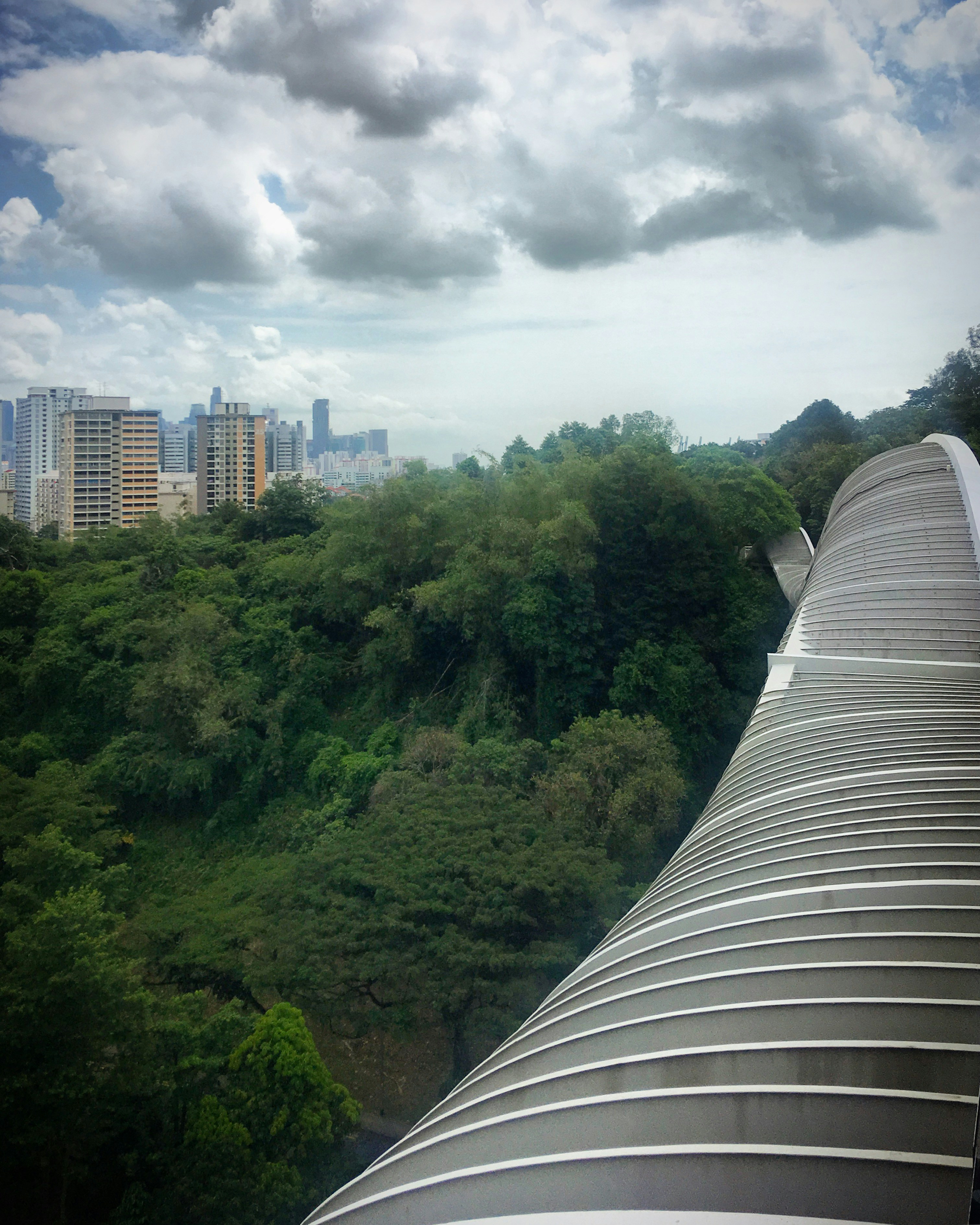 Skyway Over Green Canopy: Urban Skyline Meets Curved Roof