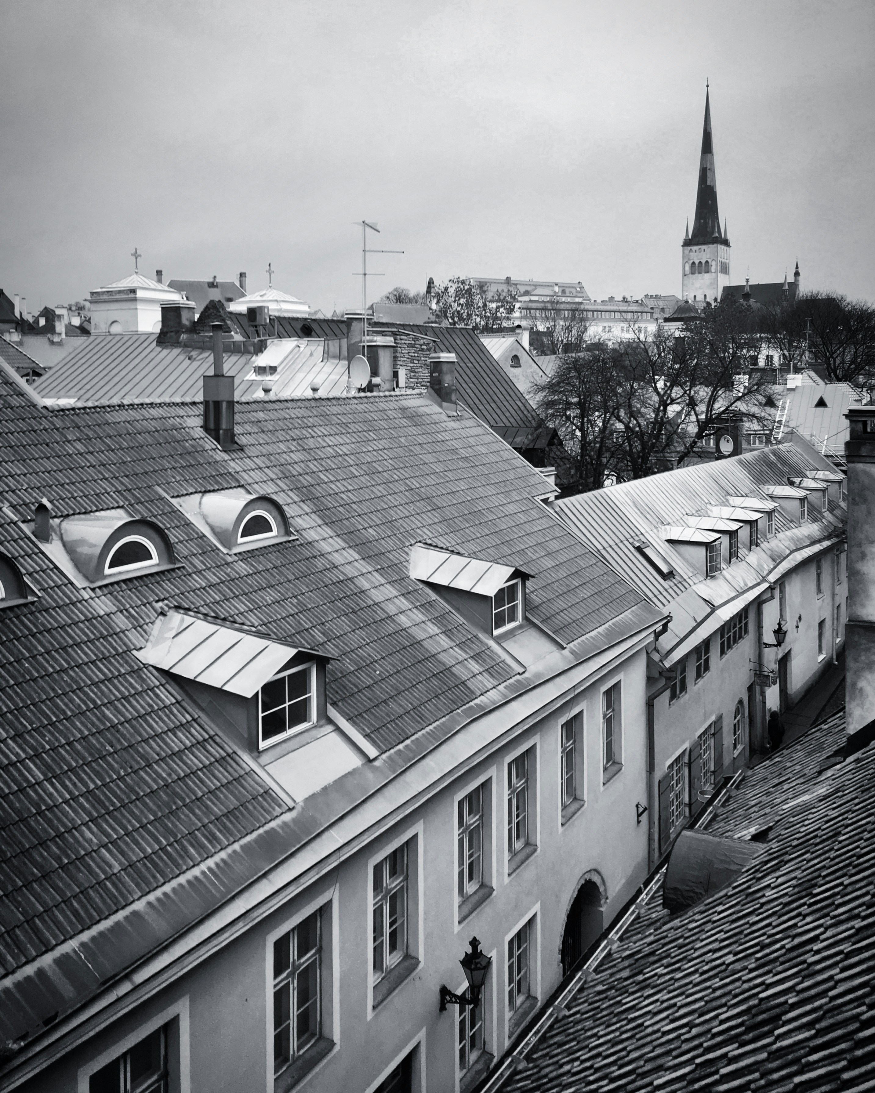 Rooftop Cadence: A Quiet European Skyline