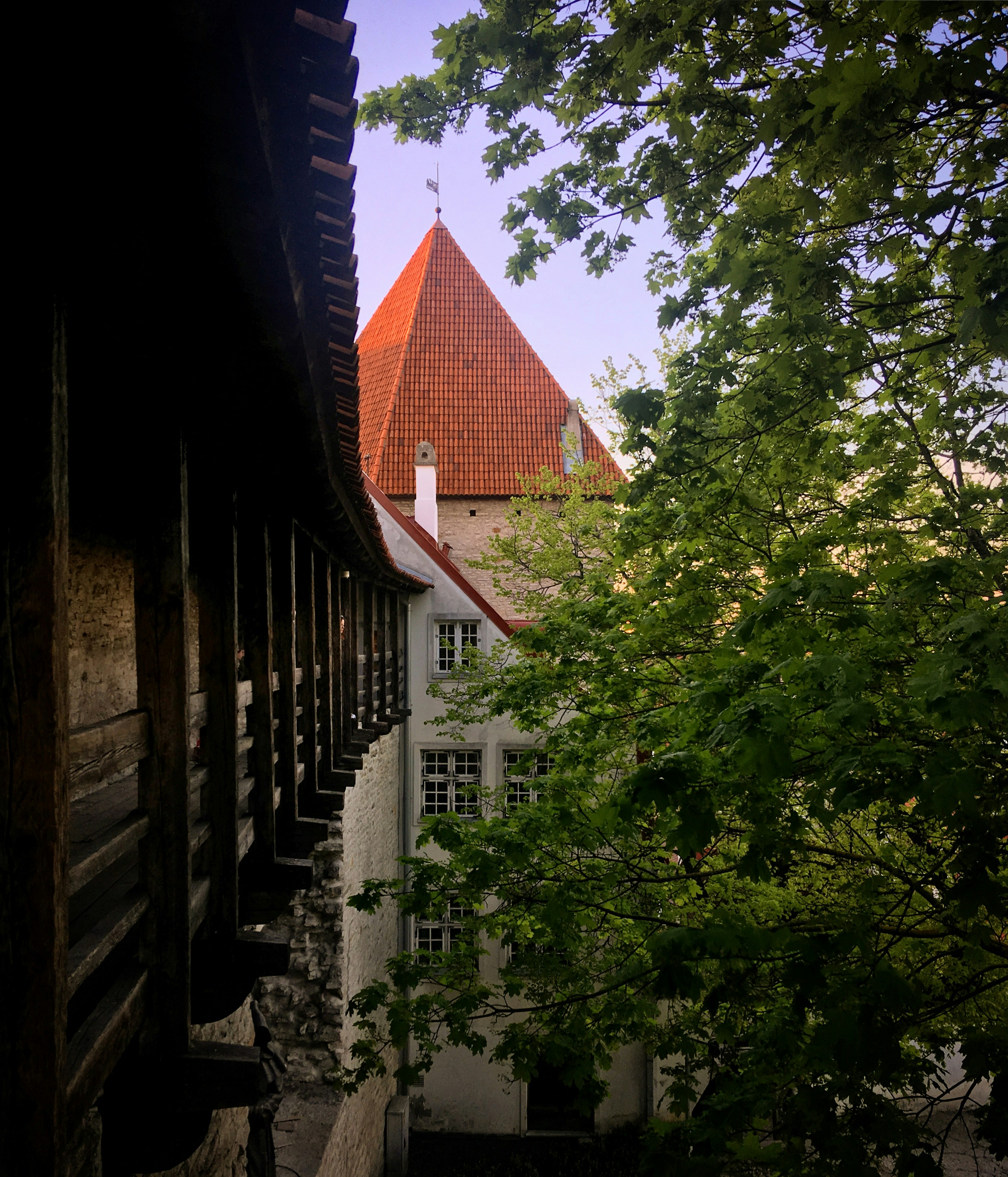 Rooftop Peak Through Verdant Canopy