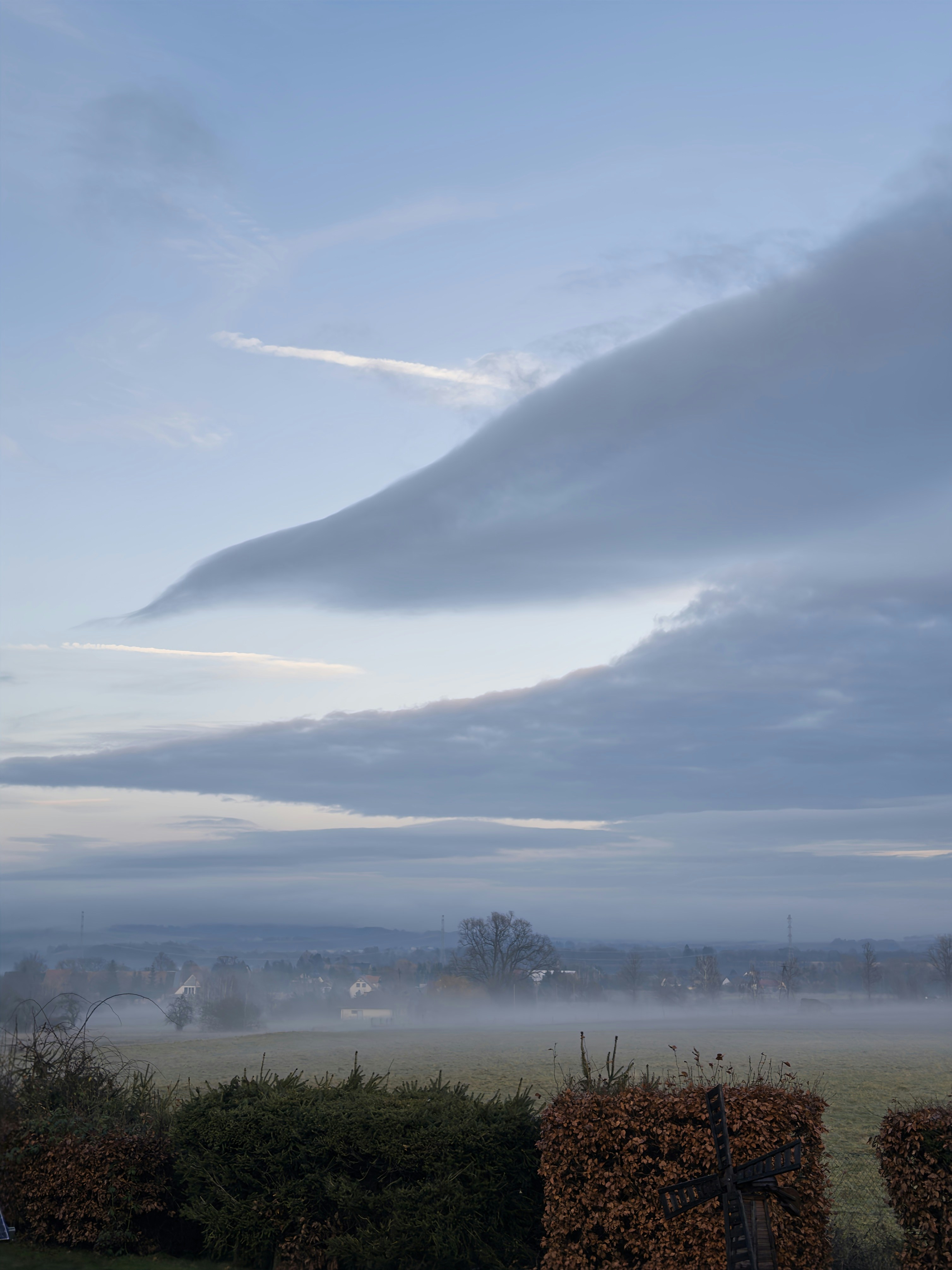 Low-Lying Mist over Orchard at Dusk