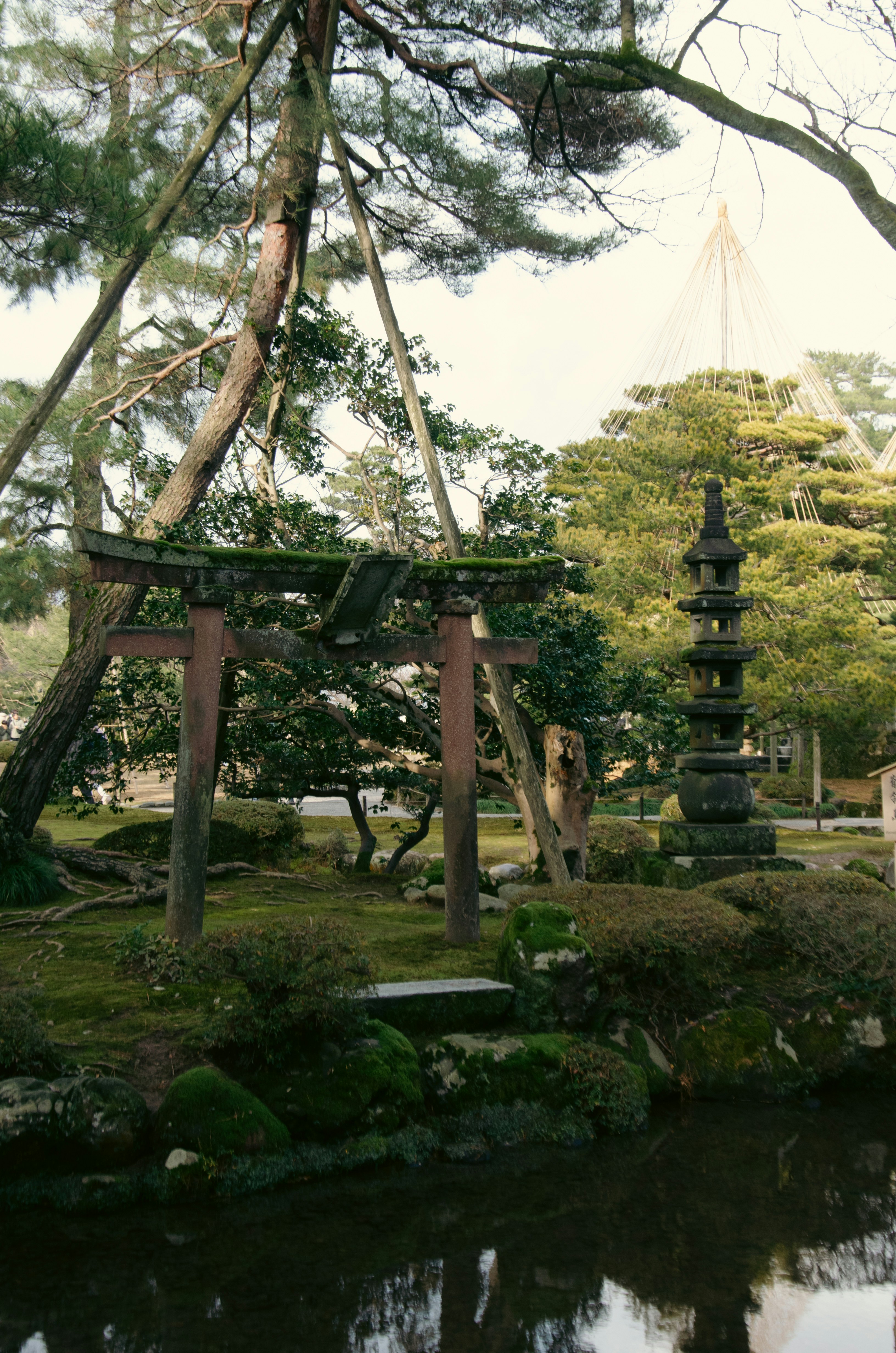 Torii and Lantern Stack Cast in Quiet Temple Garden