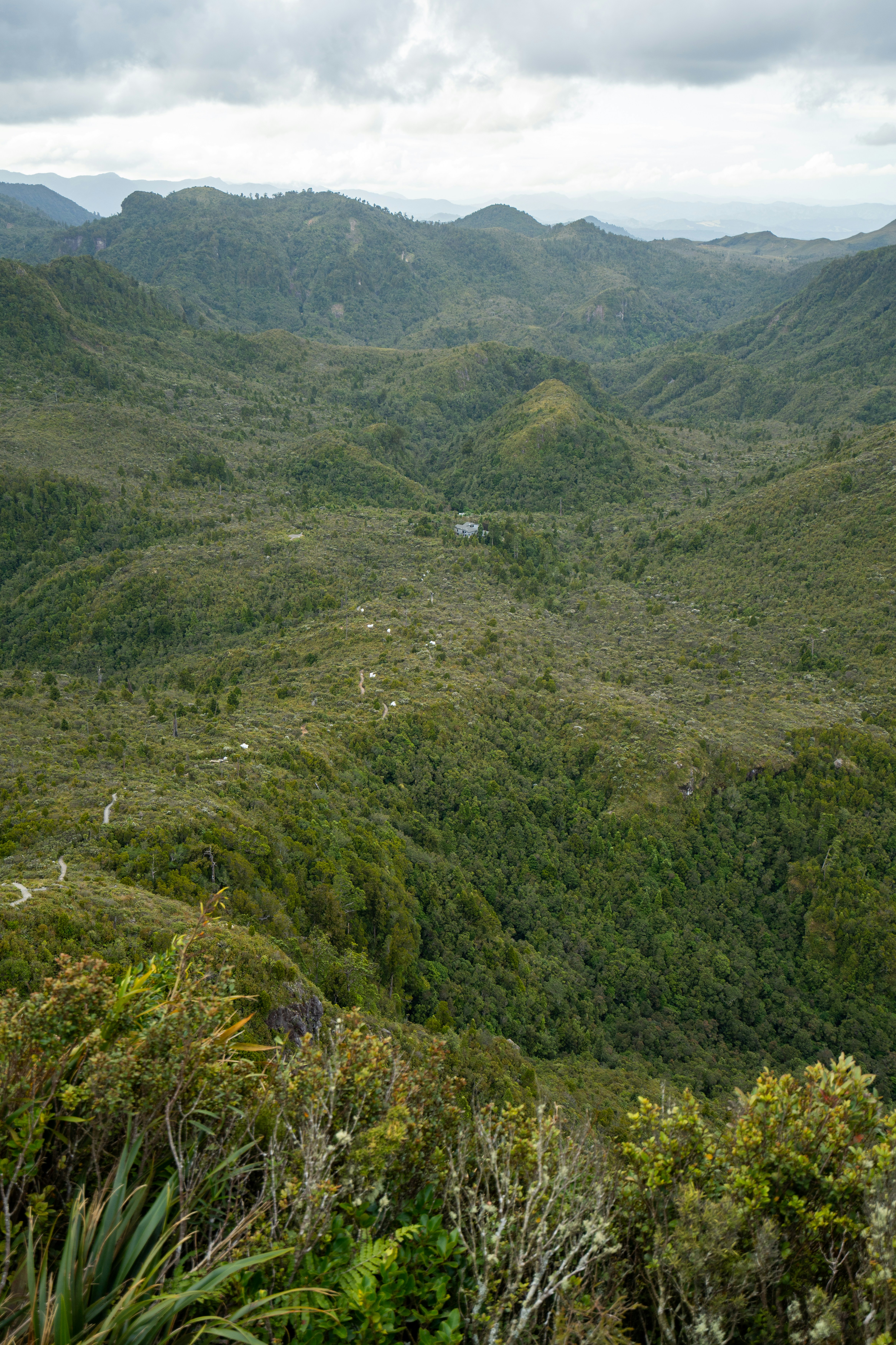 Valley Reverie: A Meandering Ridge Through Green Quiet