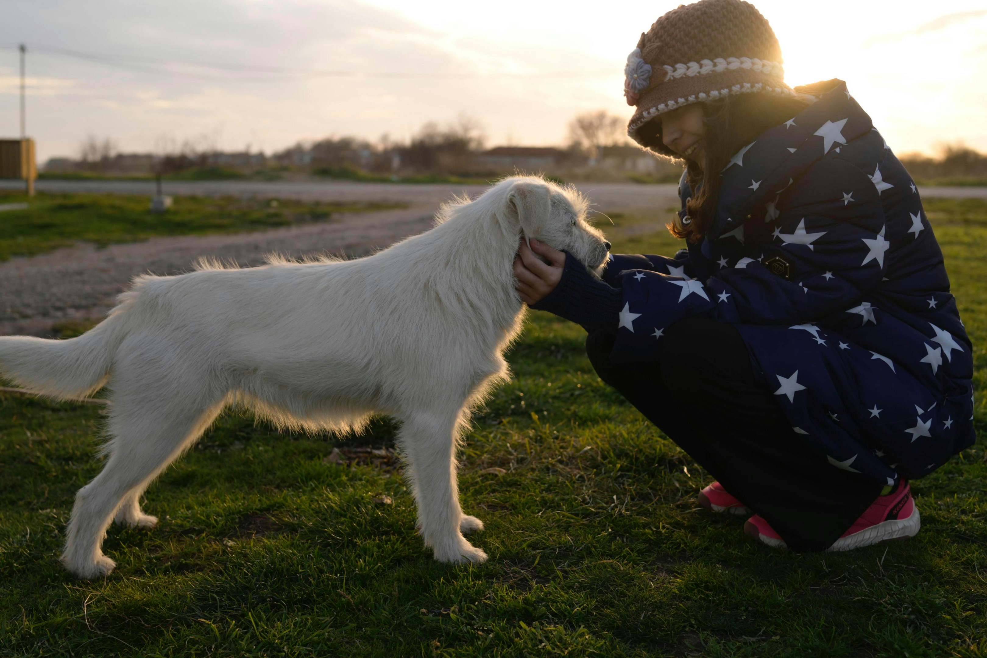 Quiet Exchange at Sunset: Child in Stars and White Pelt