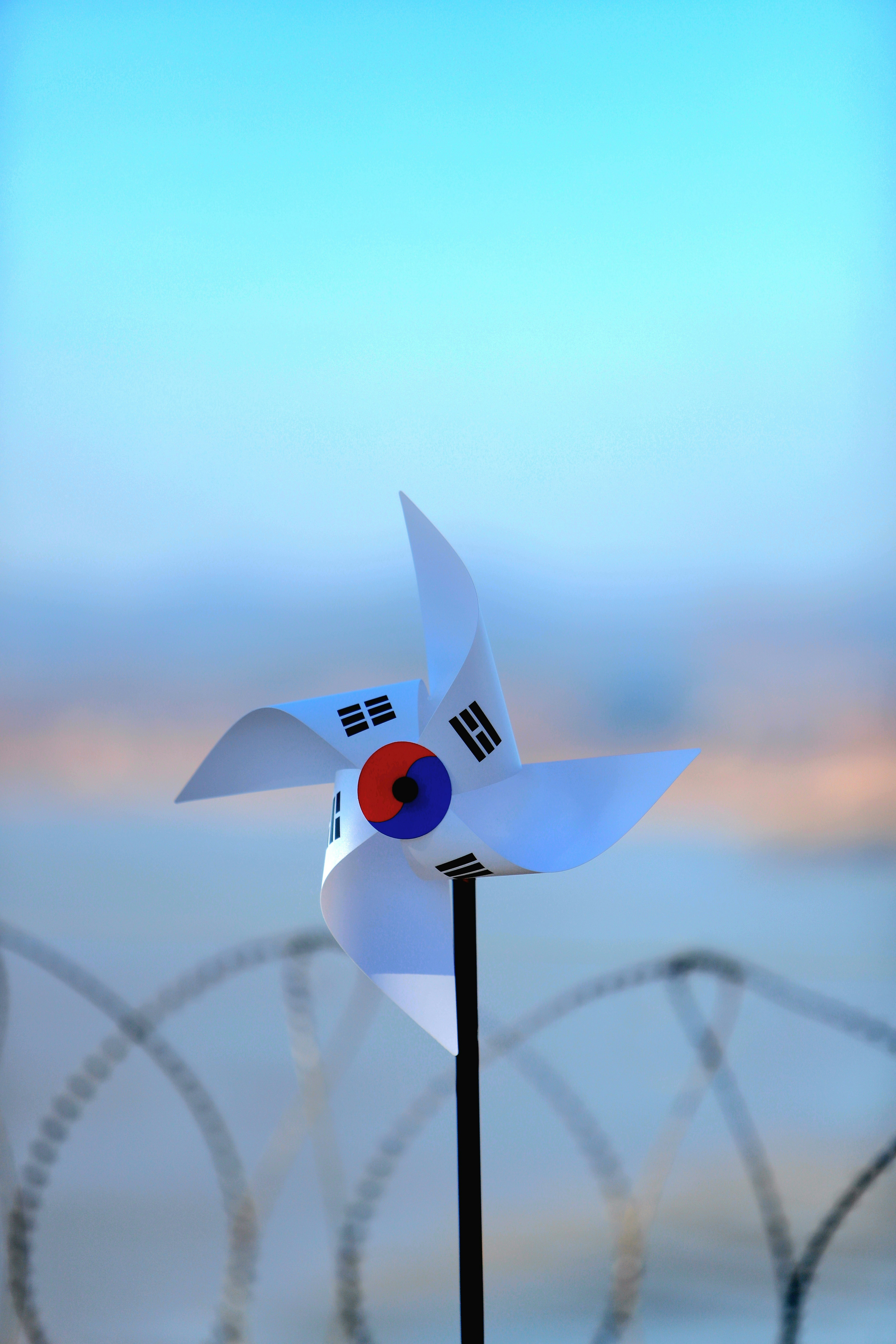 Paper Pinwheel Against a Barbed Horizon