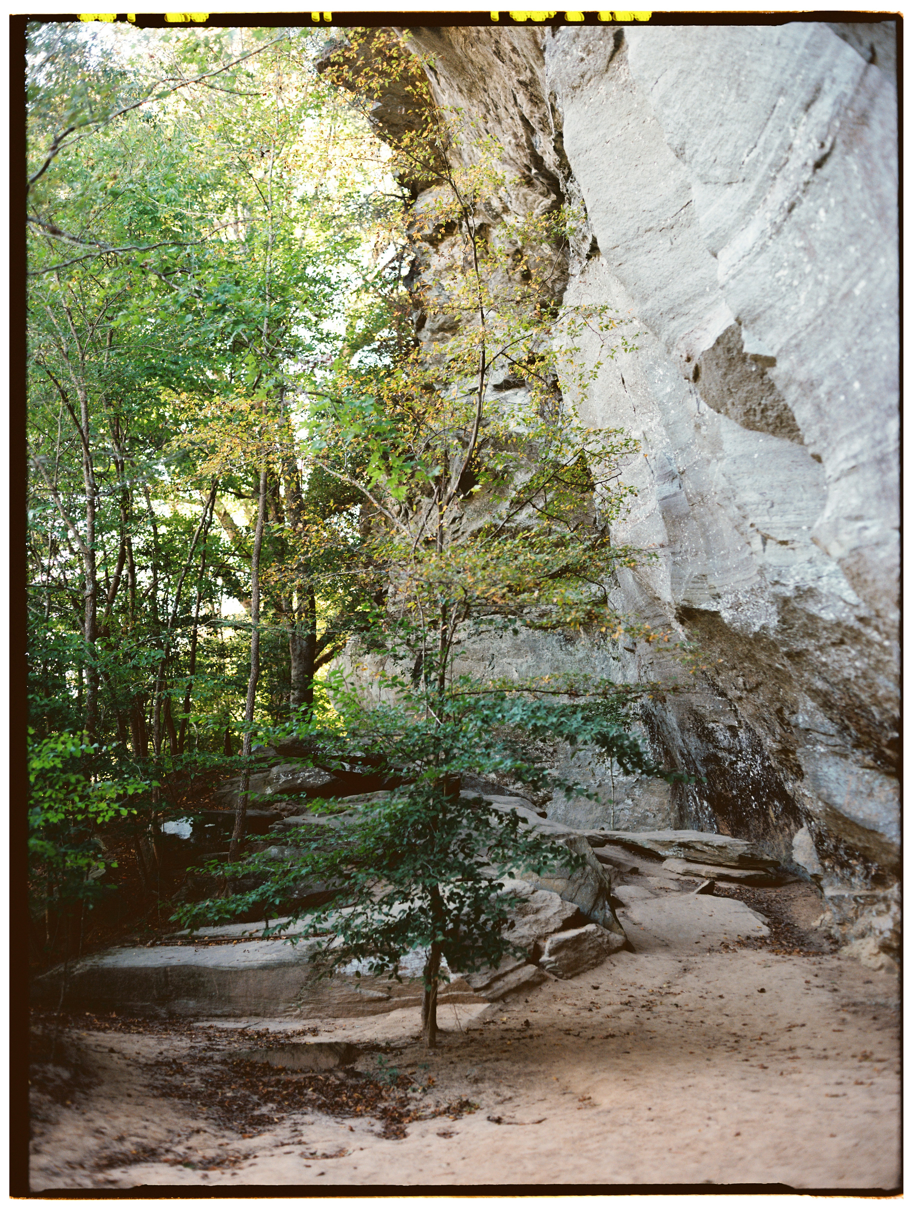 Hansel Ong (@onghansel) | Unsplash Photo Community