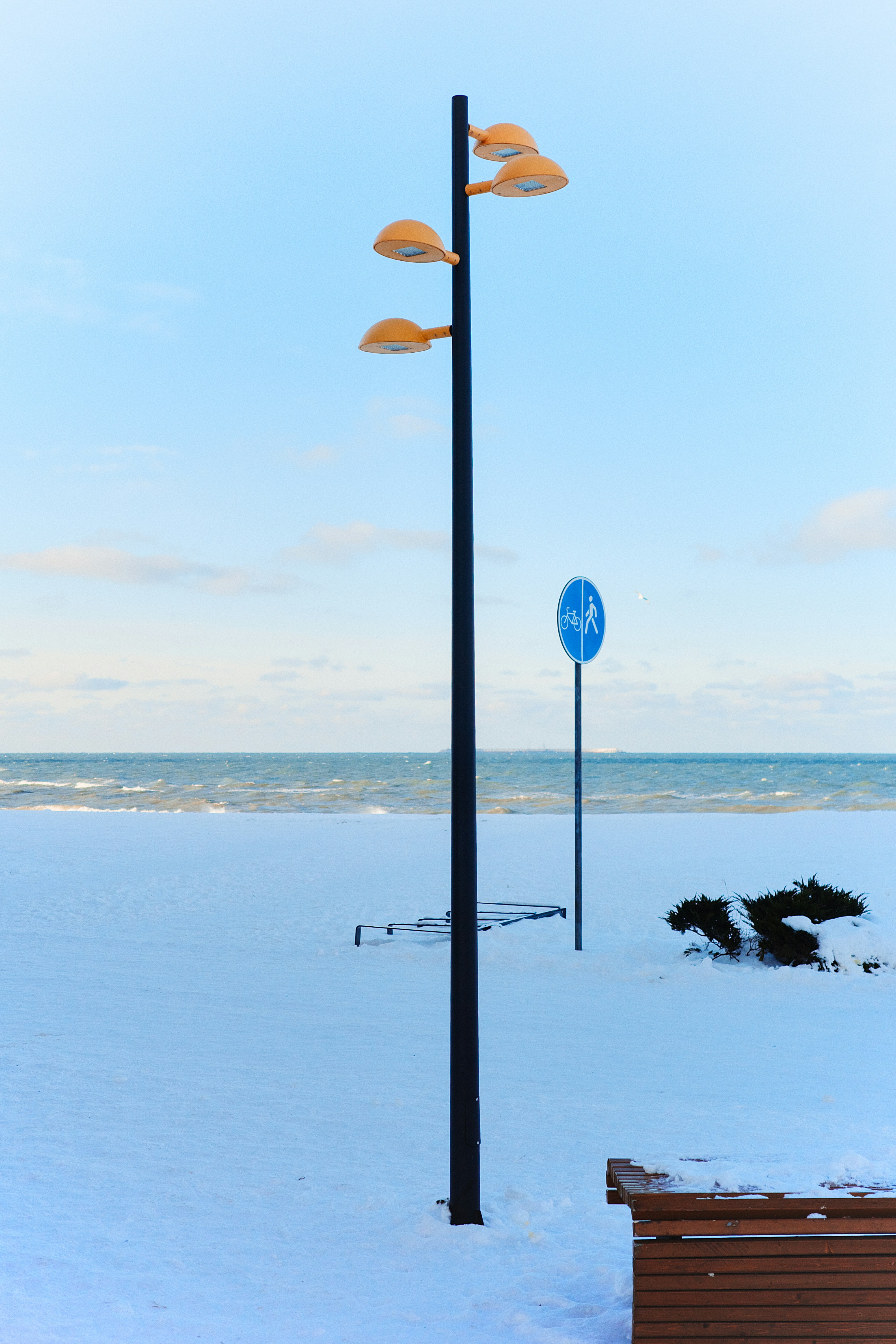Blue Sign and Streetlamp Reach Toward Winter Sky