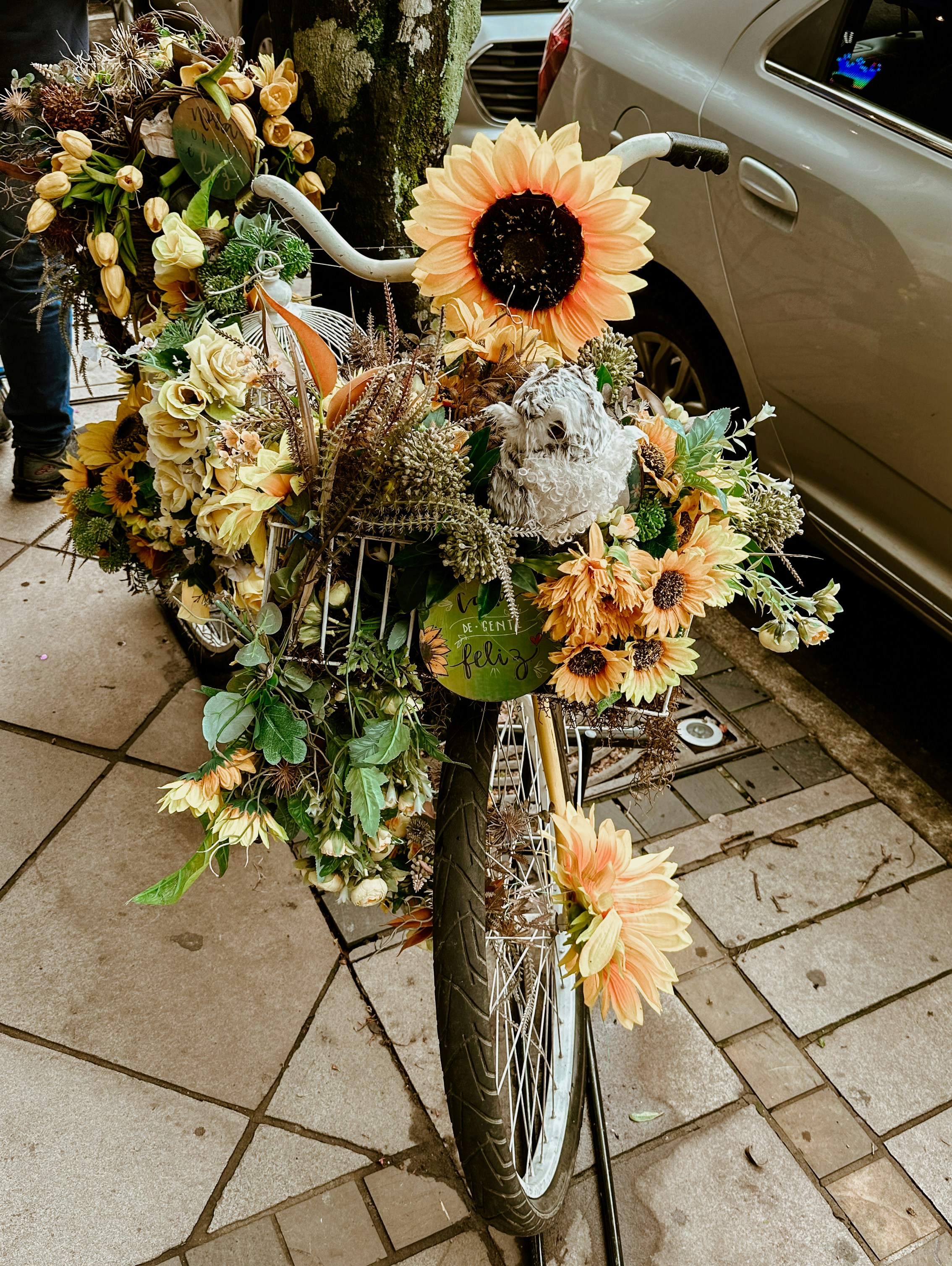 Sunlit Bouquet on a Bicycle: Autumn Flowers Tied to the Front Wheel