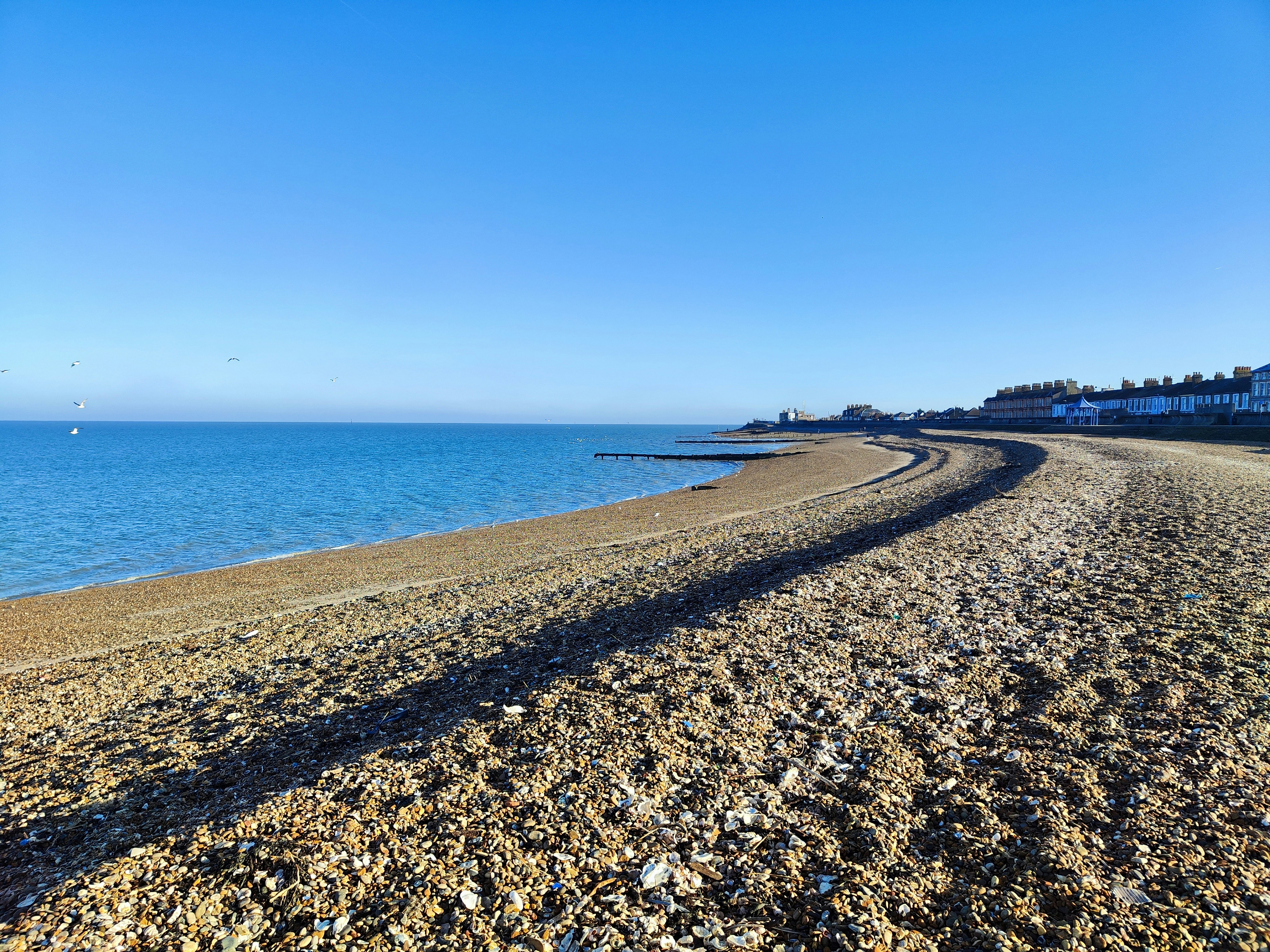 Pebble beach curving along the blue ocean under clear sky.