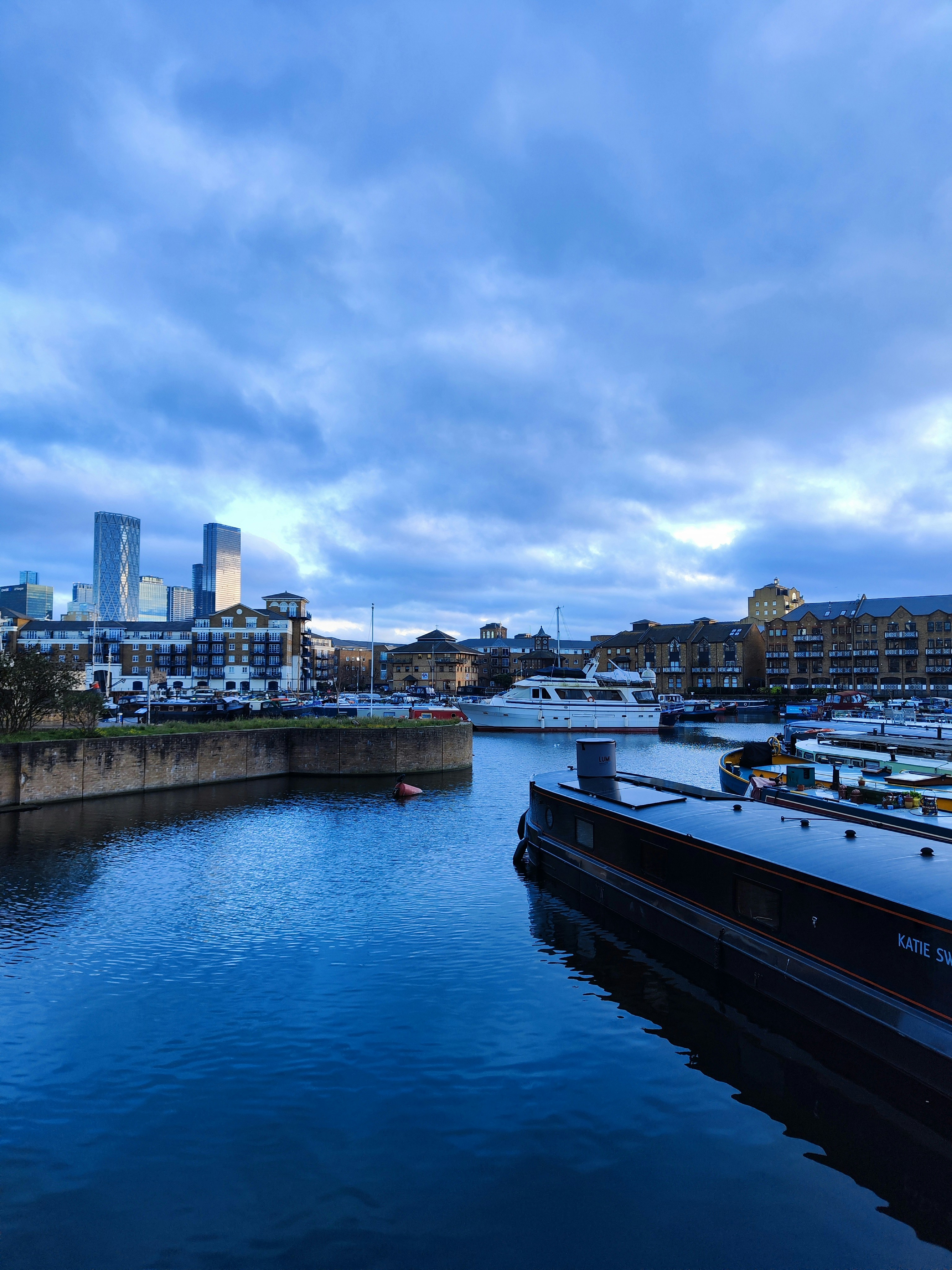 Boats docked in a harbor with city skyline background.