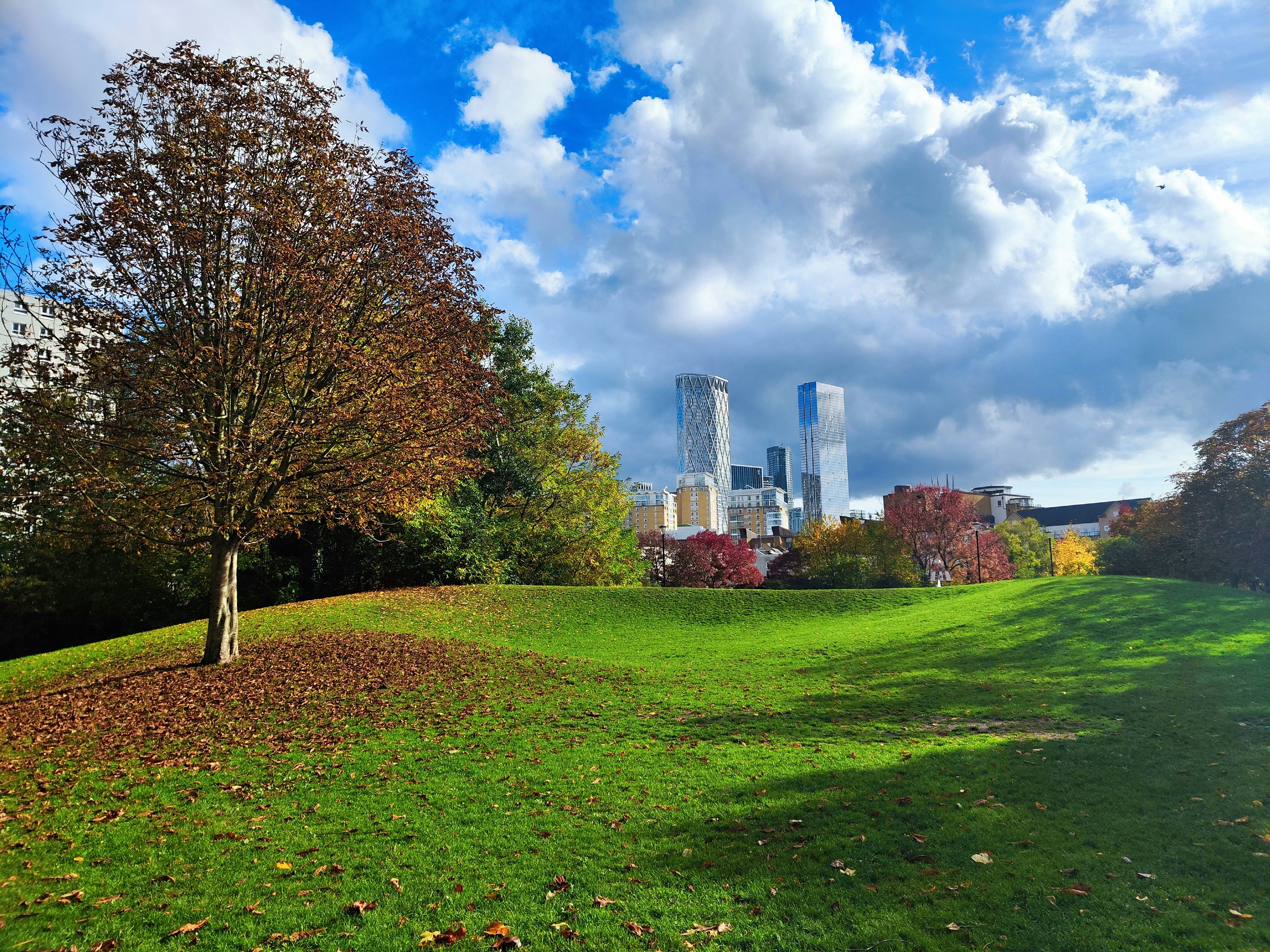 Cityscape Emerges Over Autumn Park