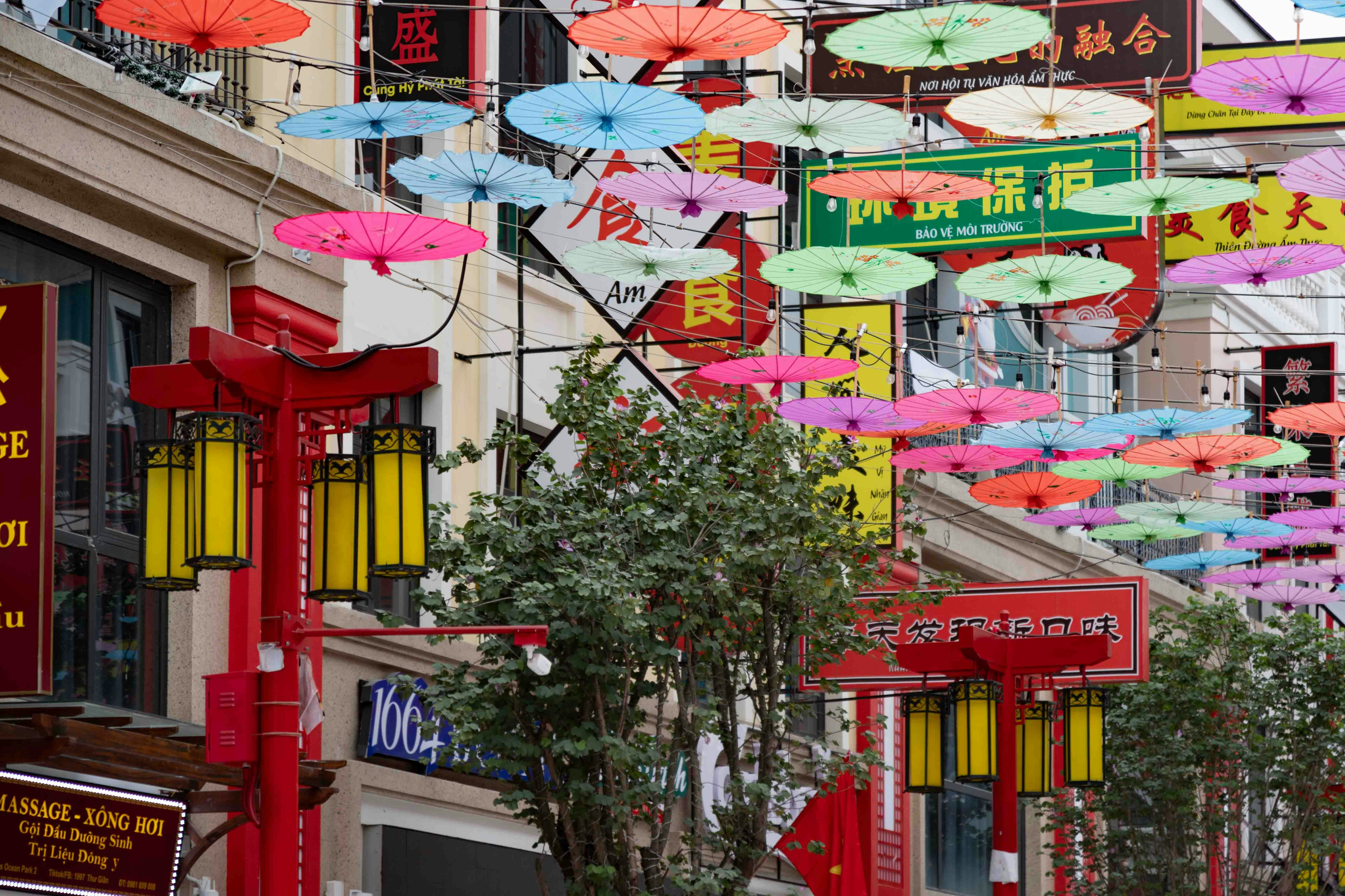 Lanterns and Neon Arches: A Street Celebration of Color