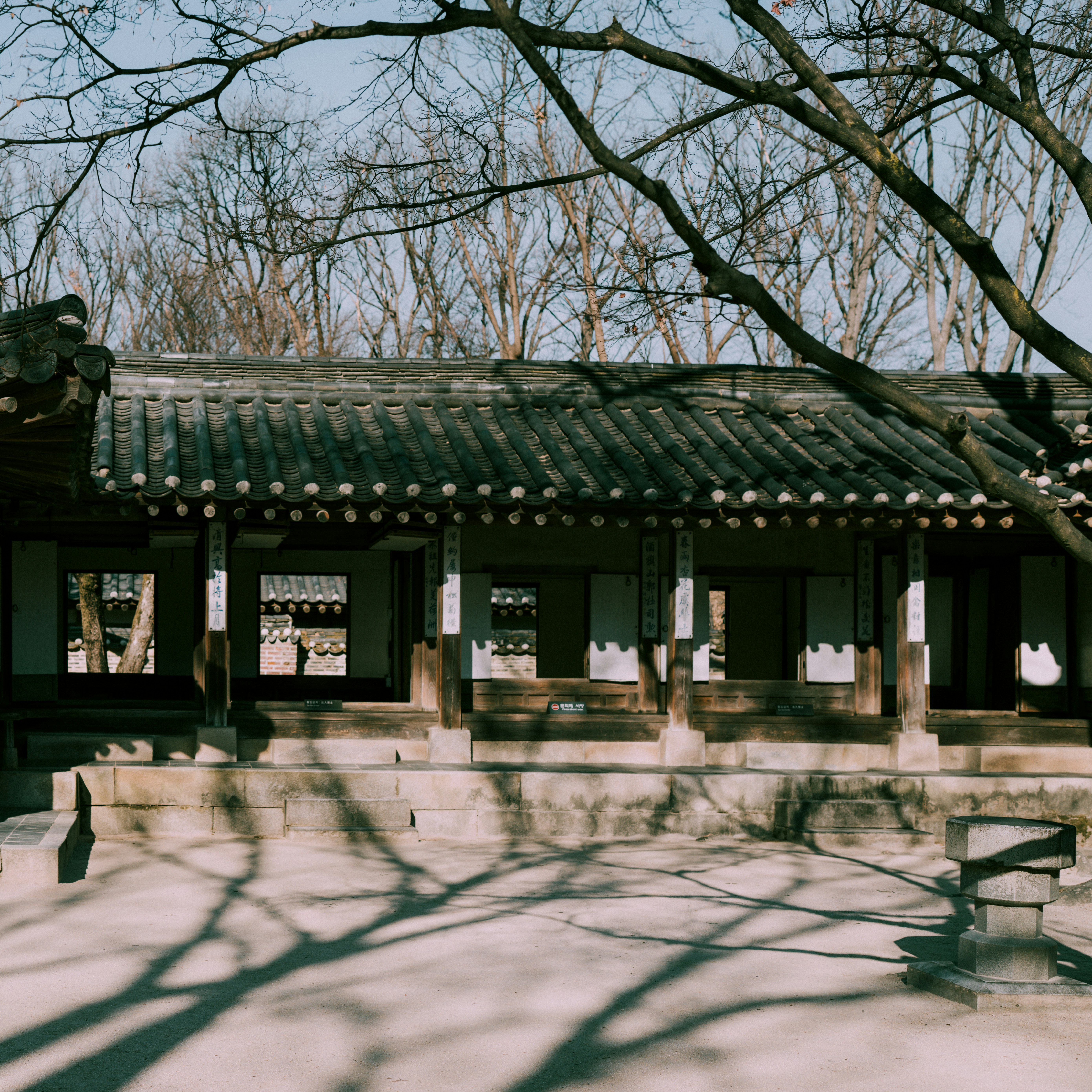 Sunlit Courtyard Shadows: A Quiet Korean Temple Scene