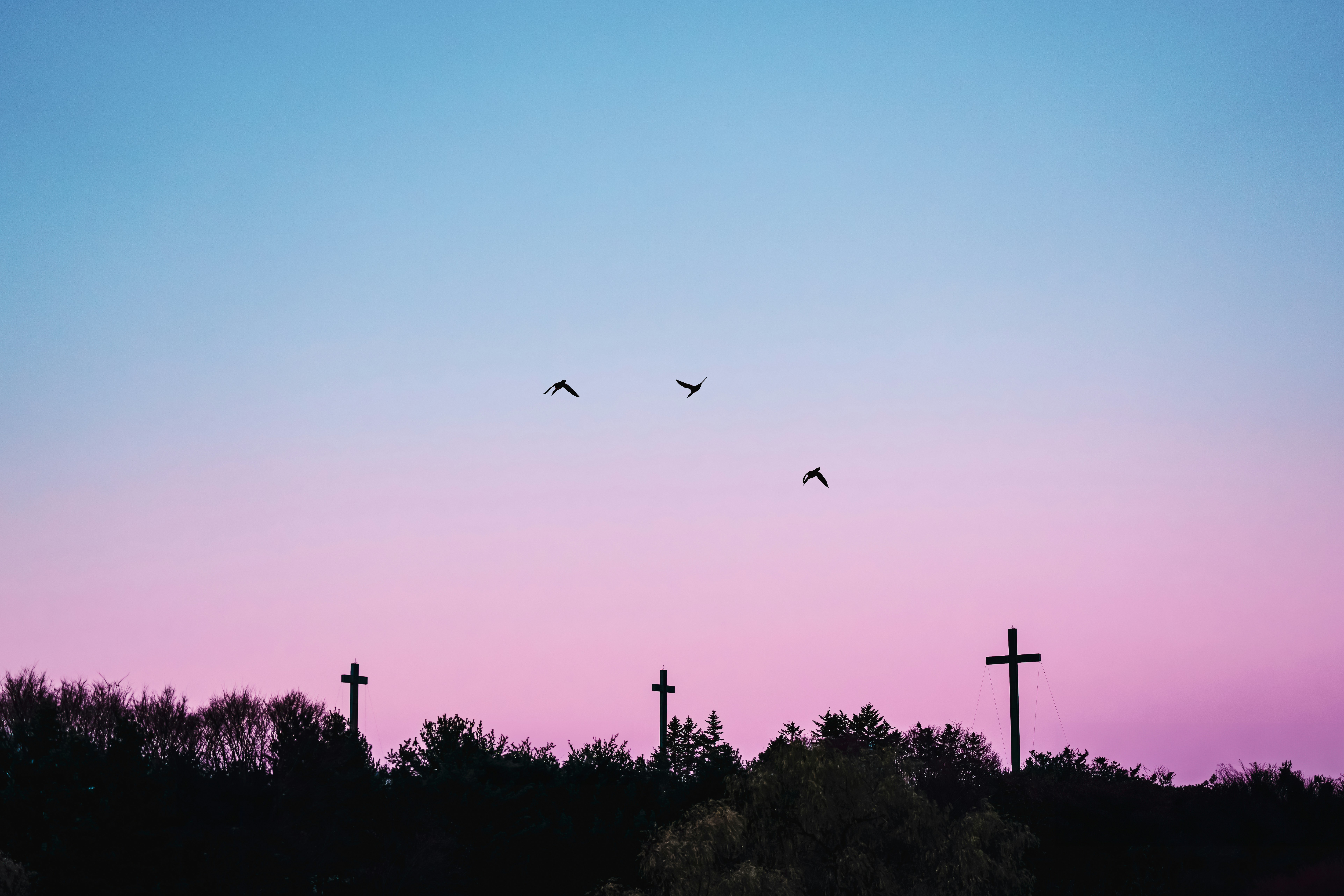 Silhouette of Crosses at Dusk with Soaring Birds