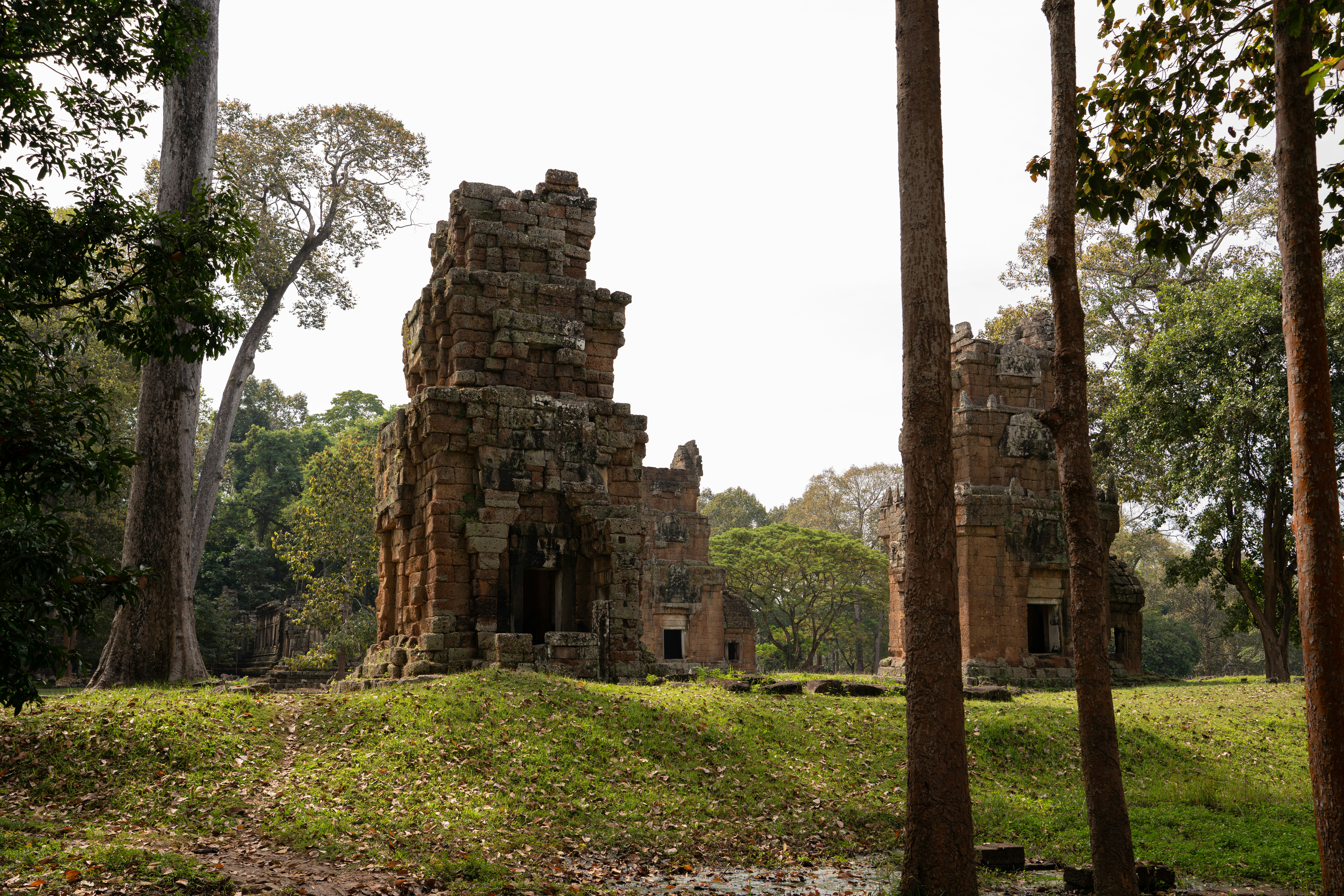 Ruins in the Grove: A Quiet Corner of the Ancient Temple Complex