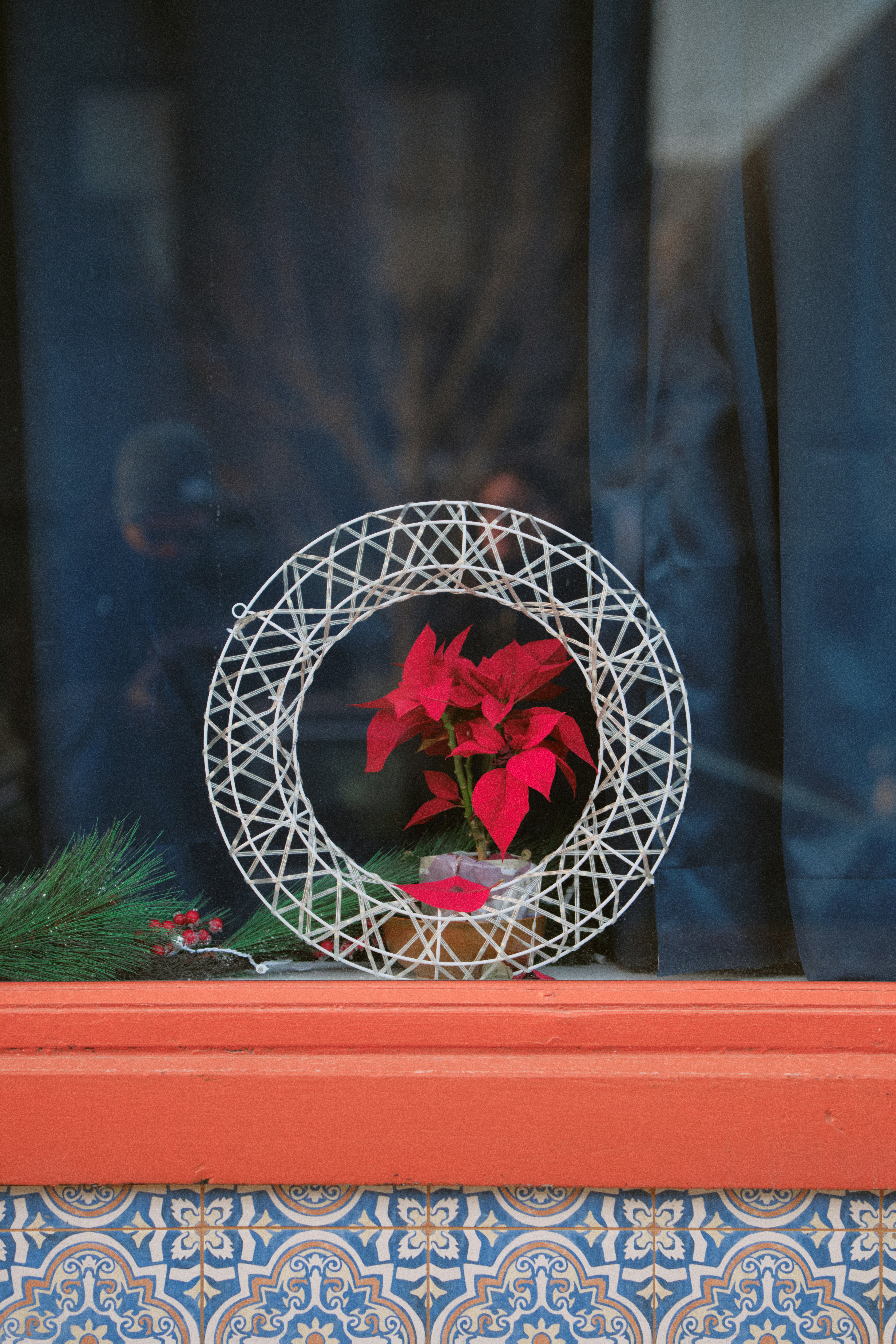 Red Poinsettia Through a Geometric Ring