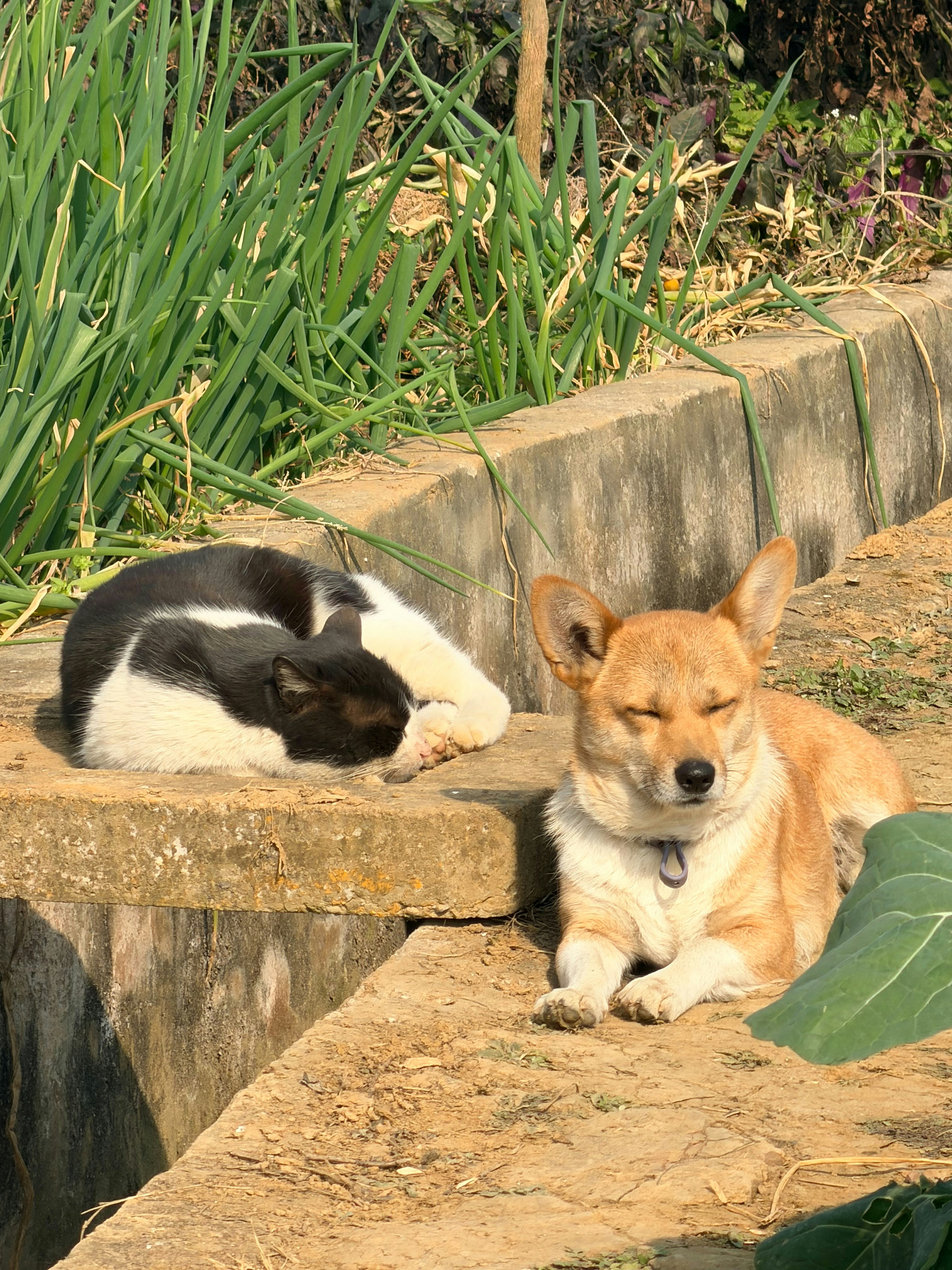 zc lin (@unsplash12312) | Komunitas Foto Unsplash