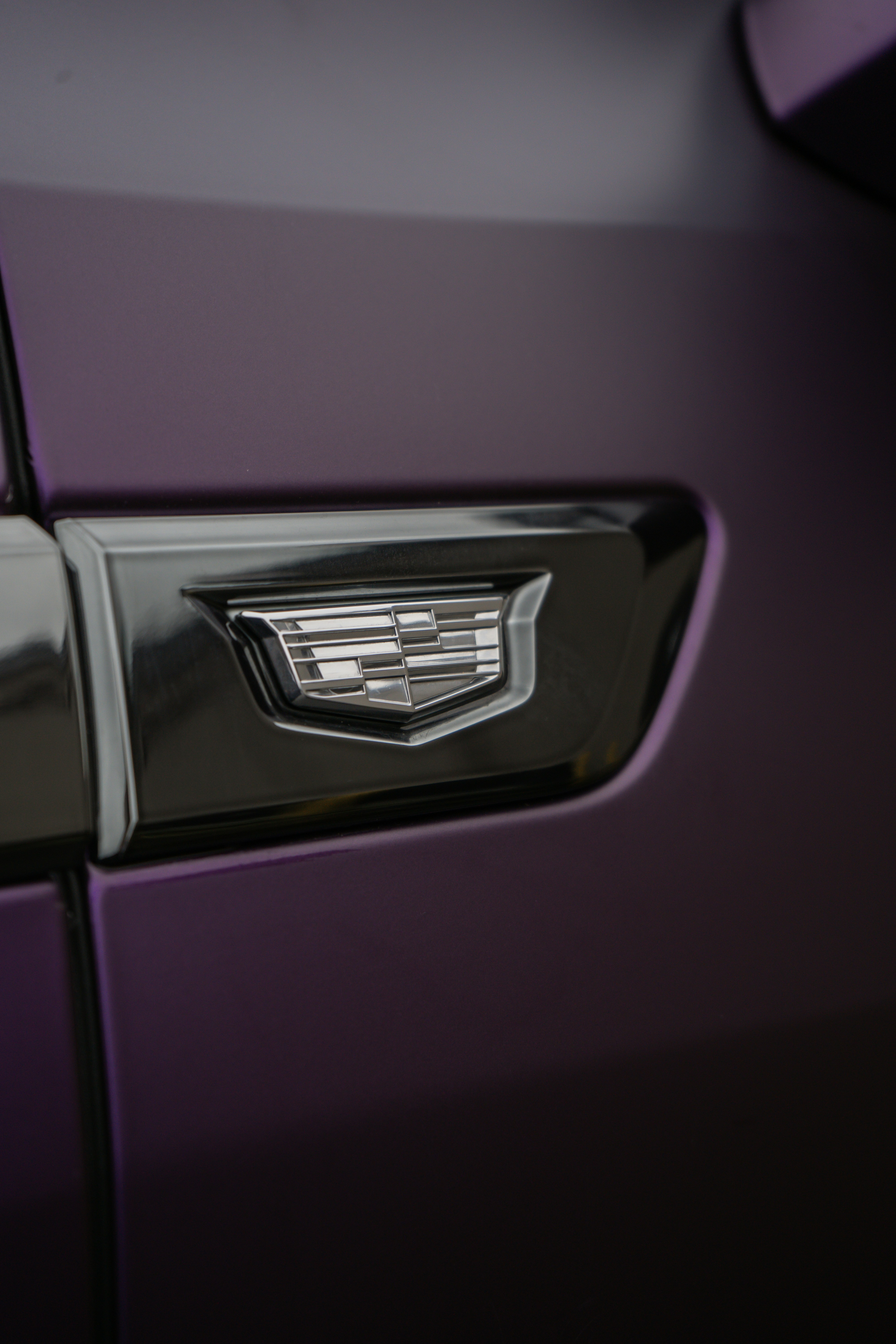 Chrome Crest on Purple Panel: Cadillac Badge in Focus