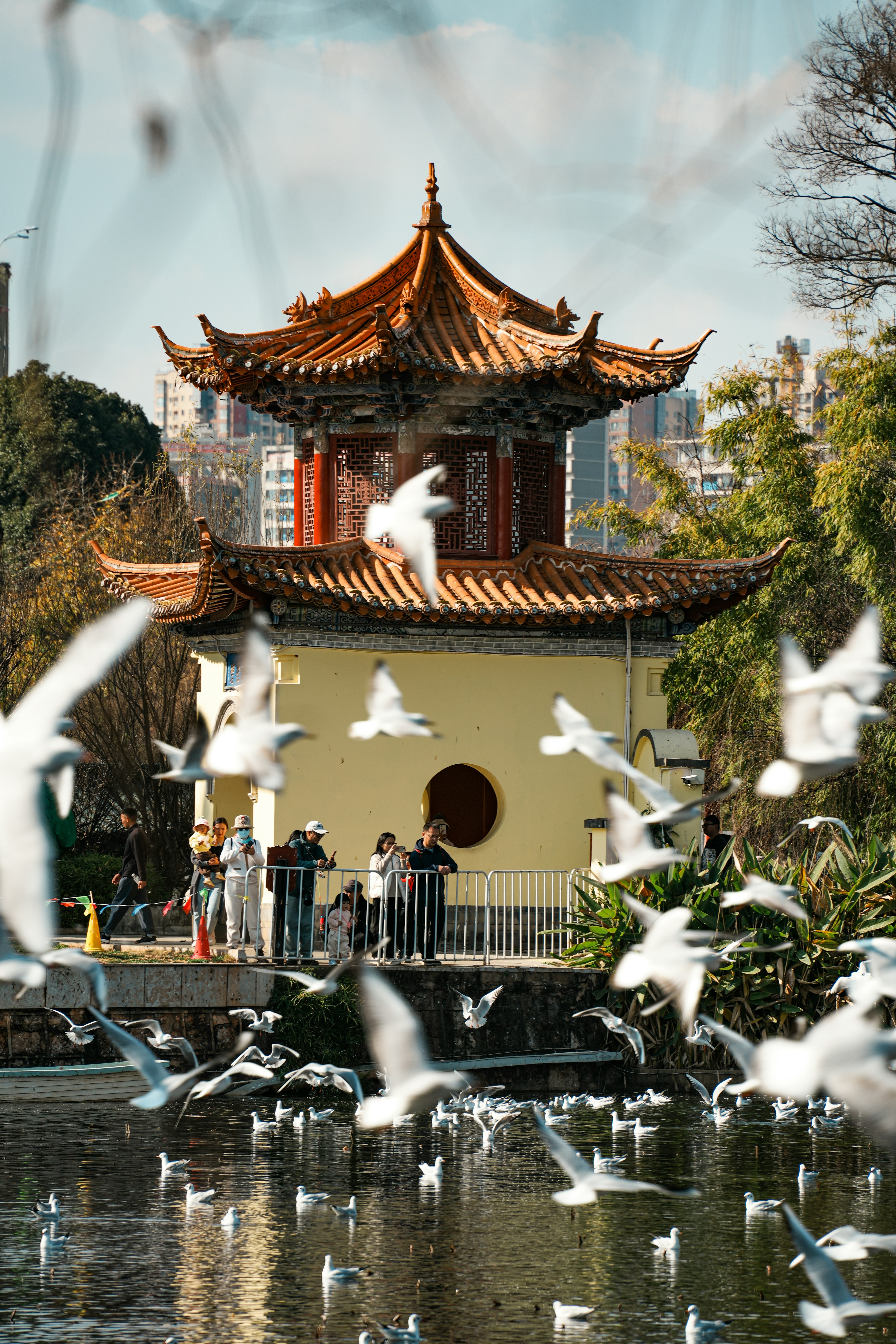 Temple Over Pond: Birds in Flight Before a Historic Pavilion