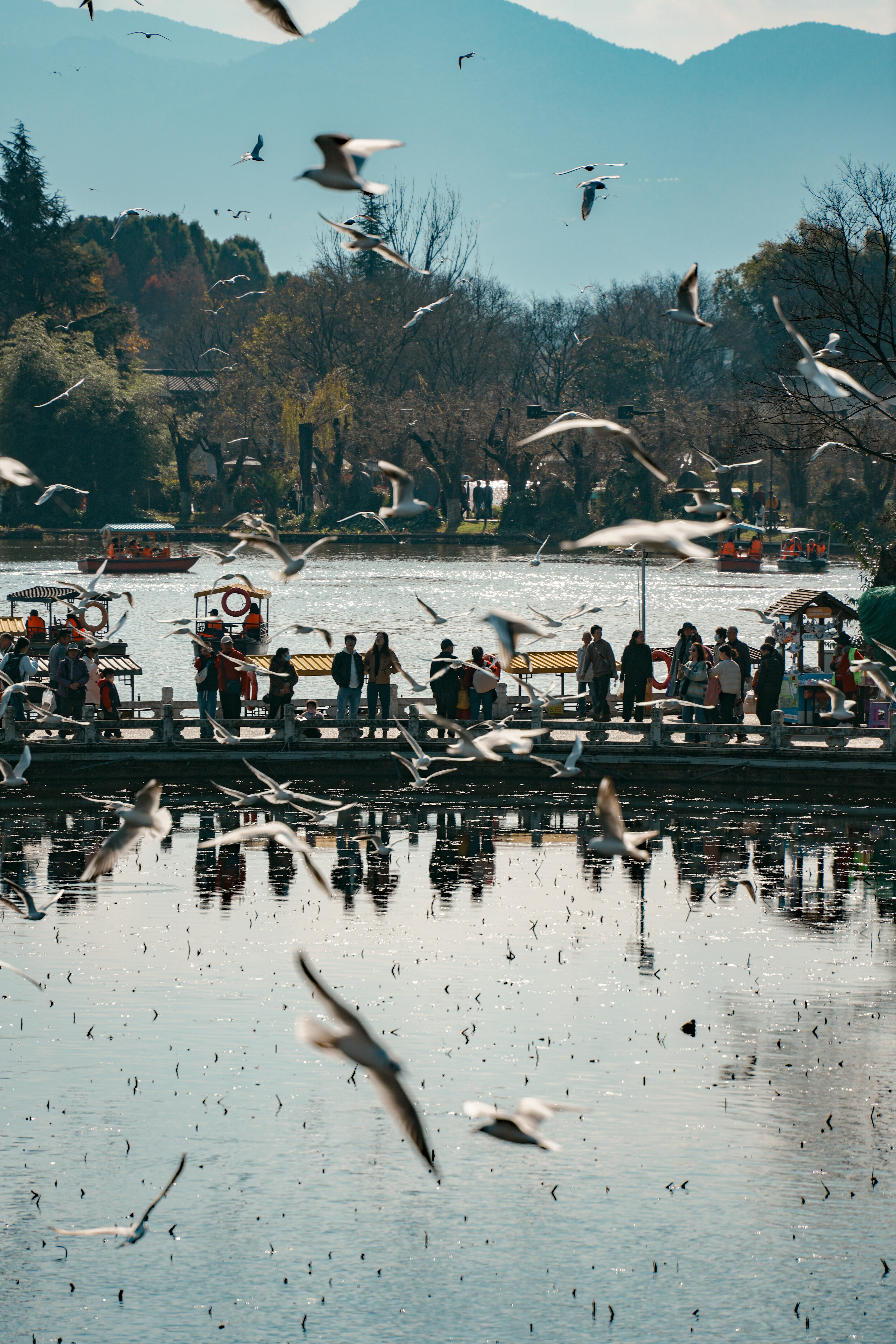 Crowd and flock over a riverside promenade
