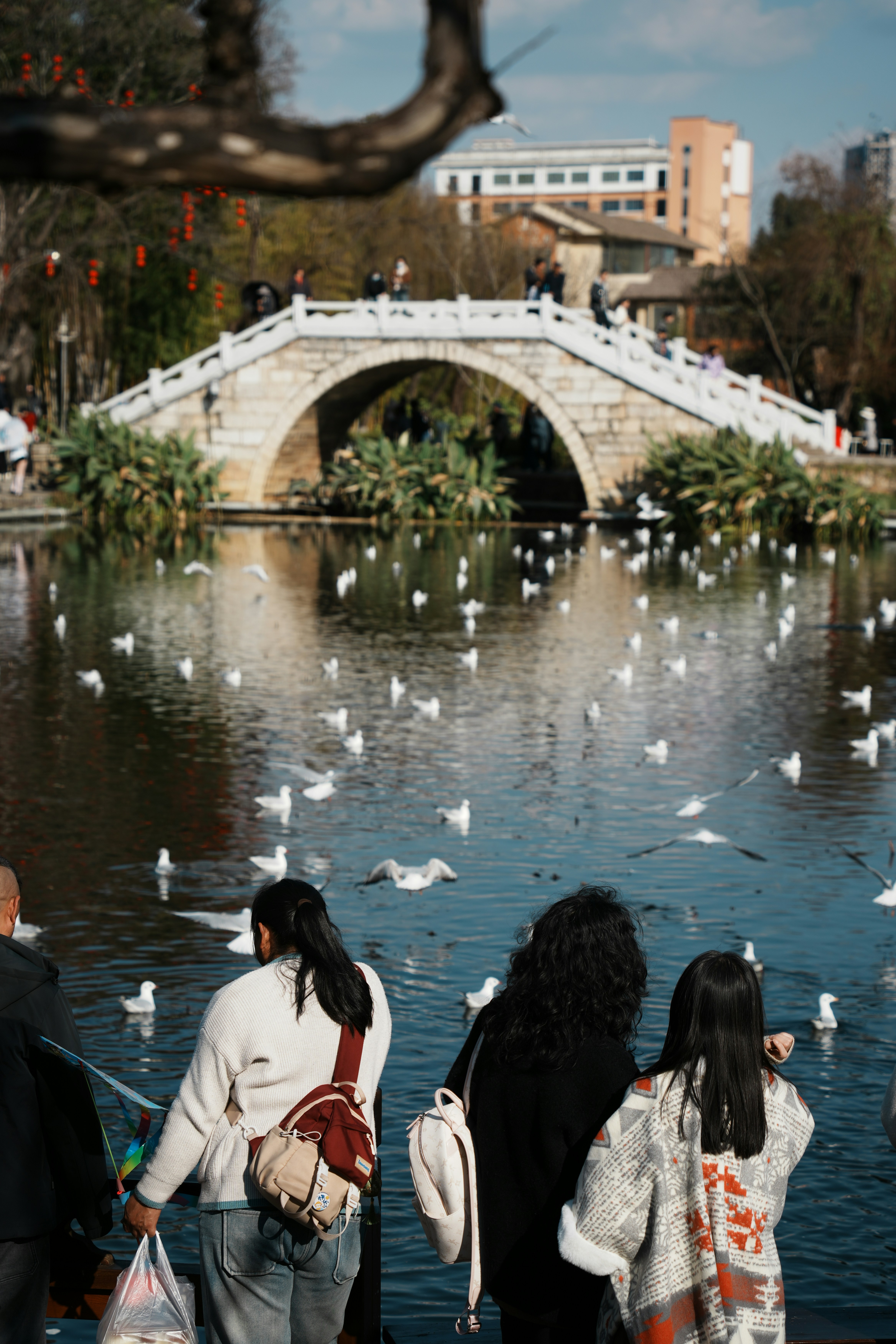 Crowded Pondscape Under a White Stone Bridge