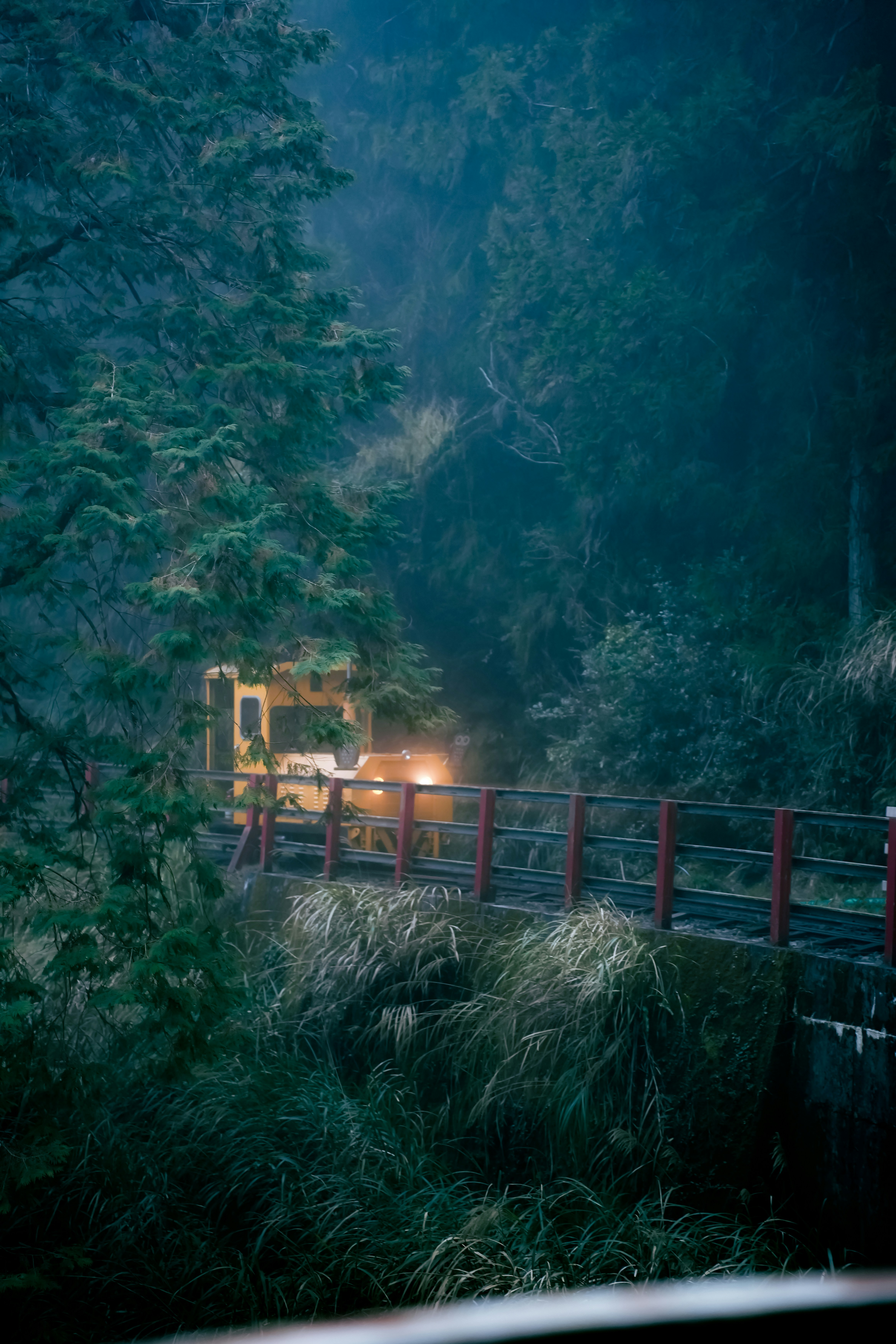 Foggy Forest Road with a Glowing Vehicle Cresting a Bridge