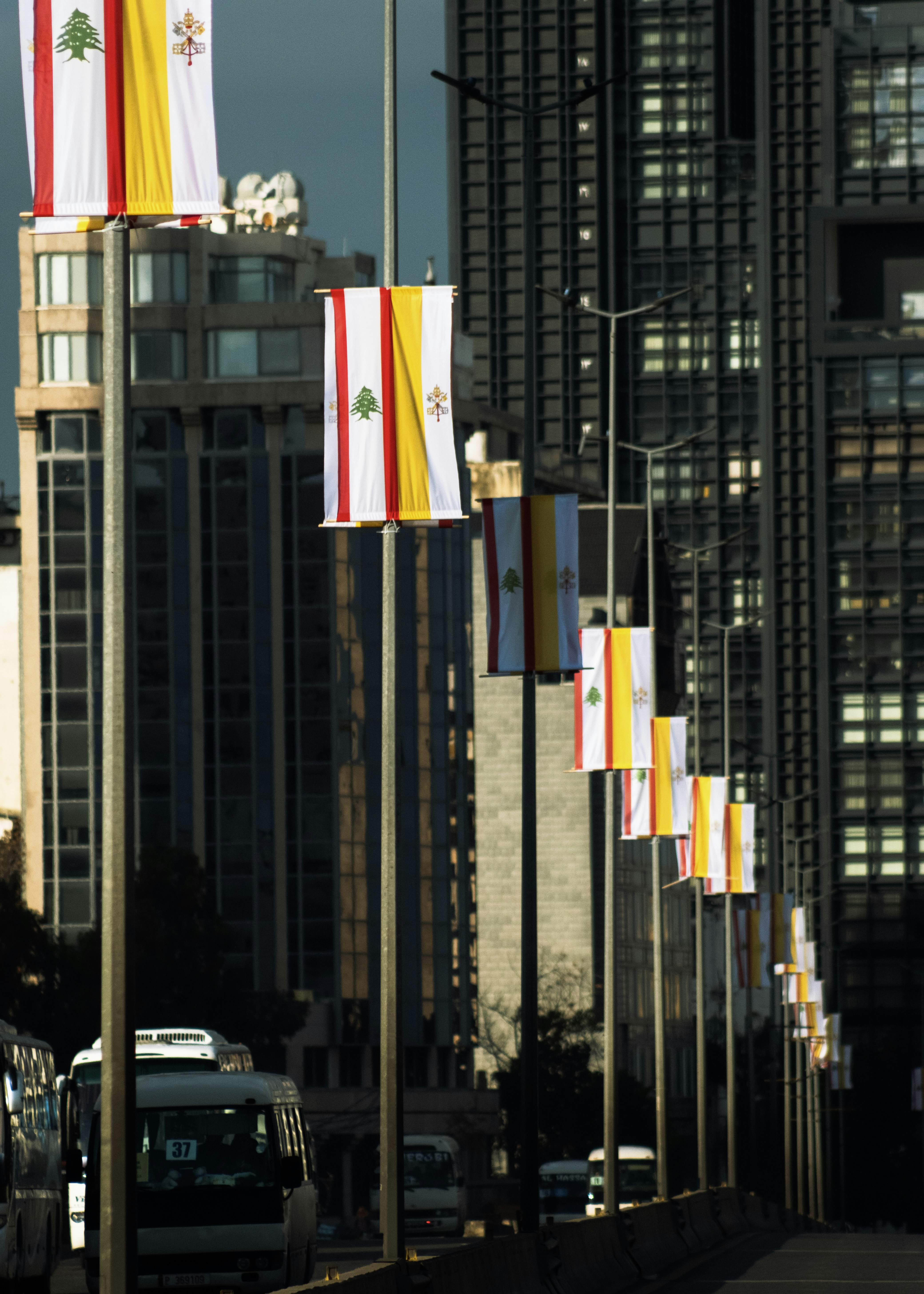 Flagged Cityscape: Flags Line a Modern Avenue