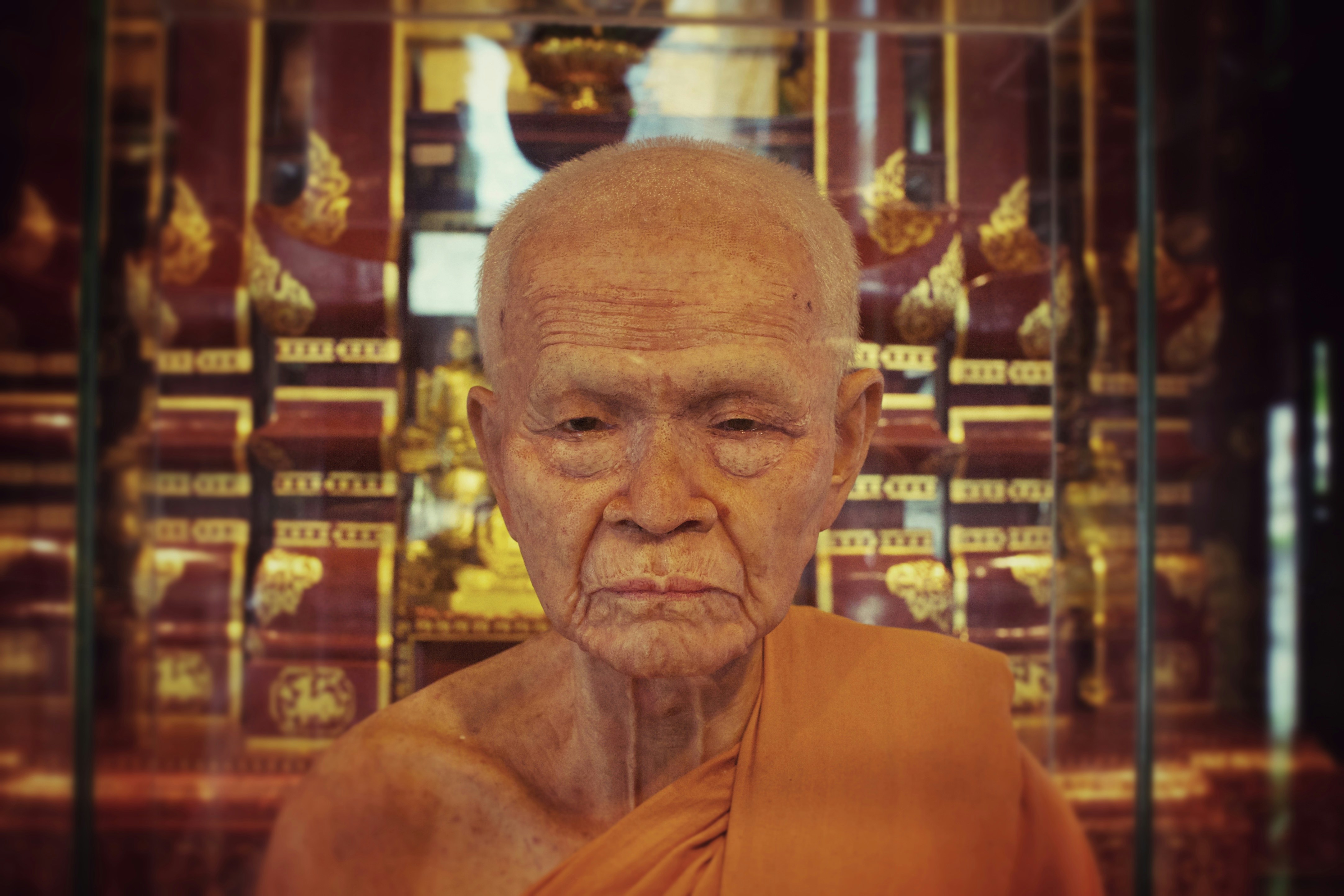 The Quiet Gatekeeper of Years: An Elder Monk in a Glass Shrine