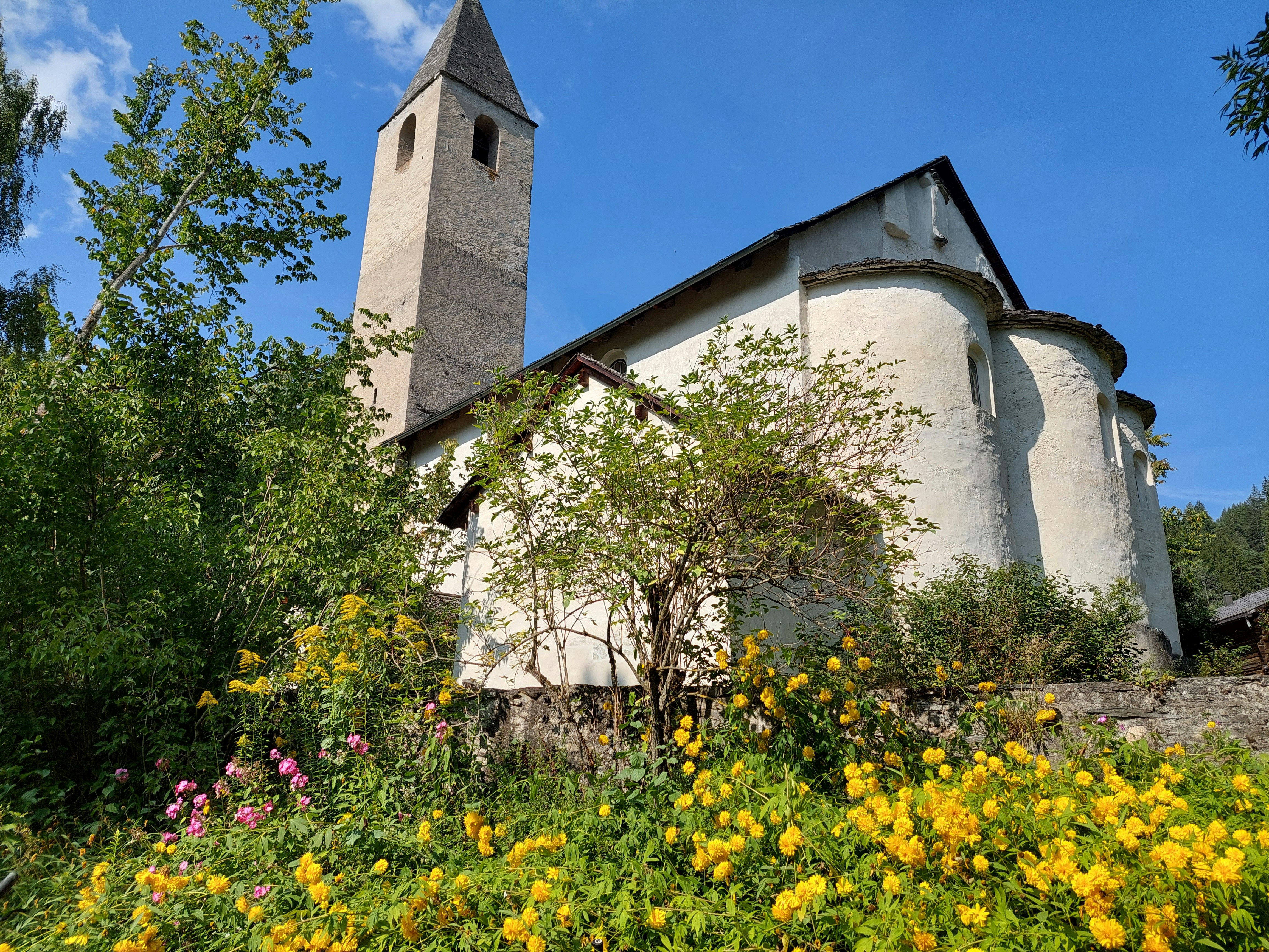 White-washed church under a blue sky framed by wildflowers