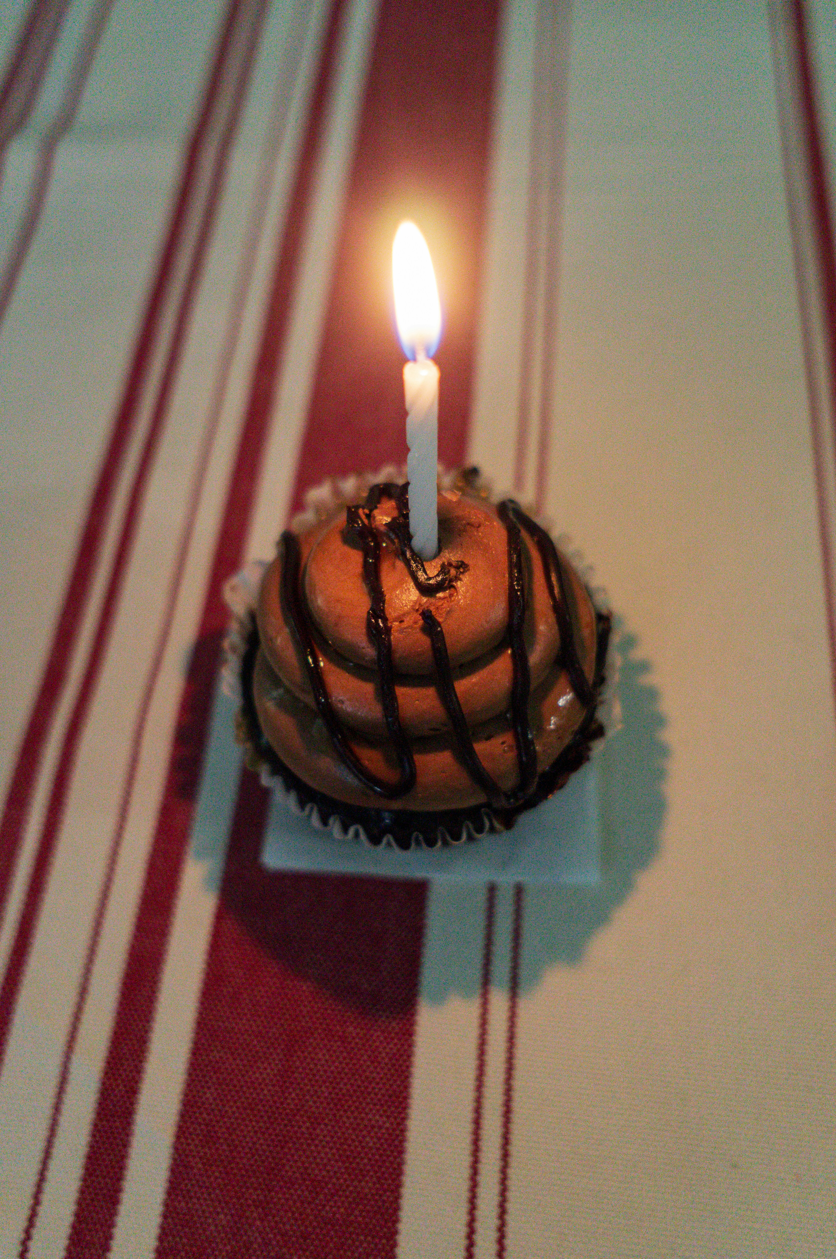 One Candle, One Cupcake: A Quiet Birthday Moment