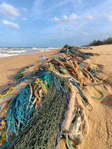 Tangled Hoard of Beachline Debris