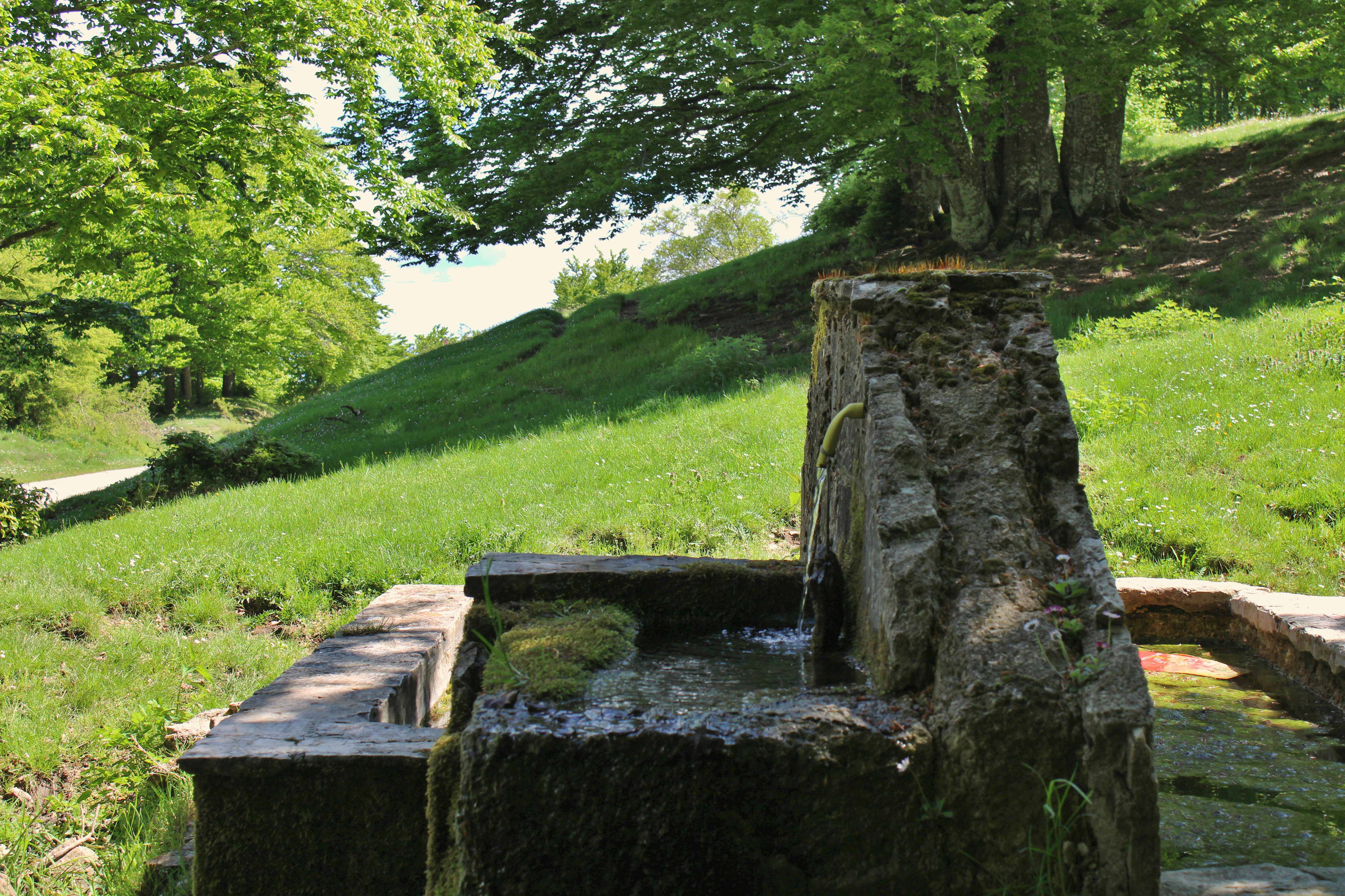 Stone Fountain in a Sunlit Park: A Quiet Green Scene