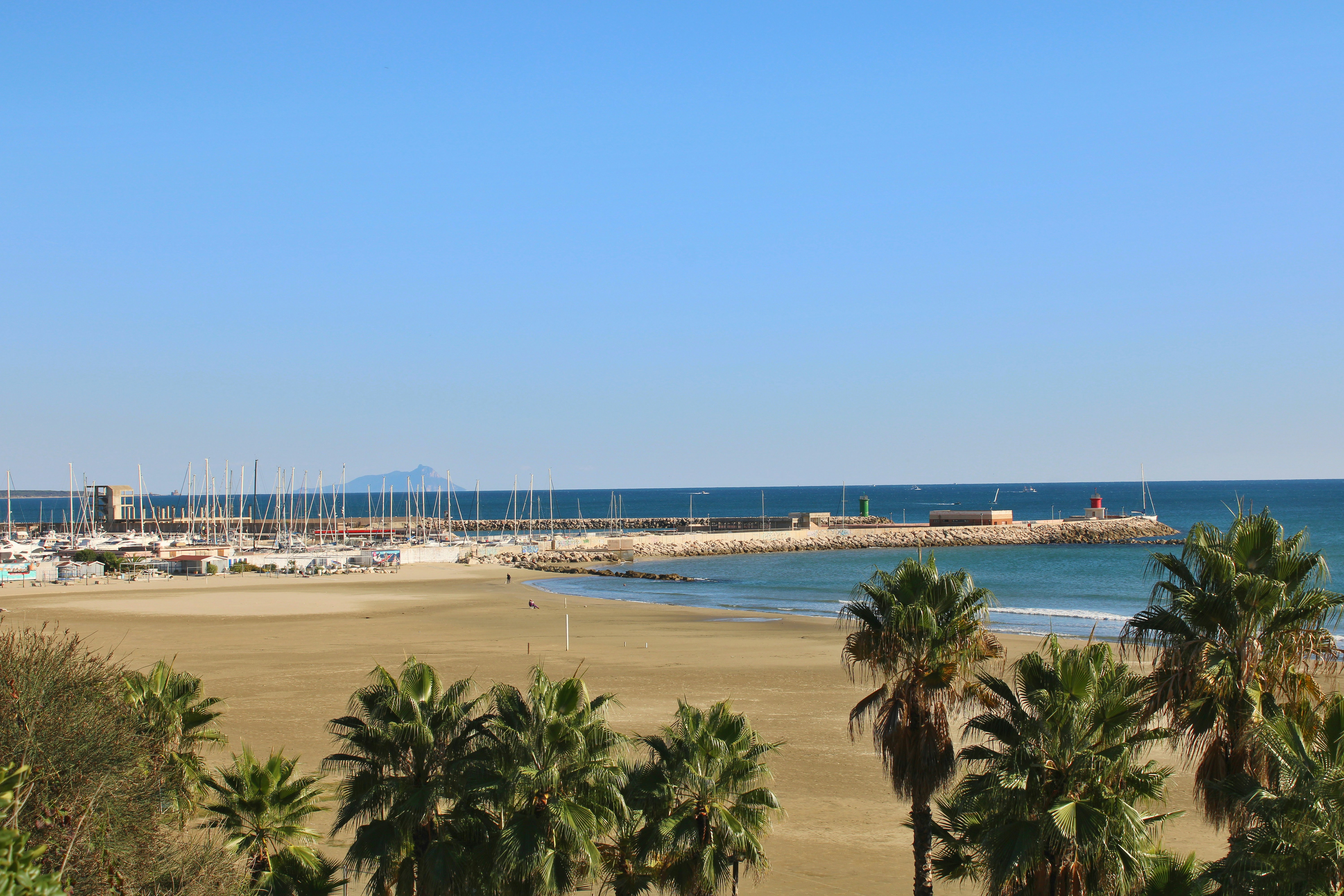 Palm-Fringed Beach at Dusk Weighs the Calm Sea