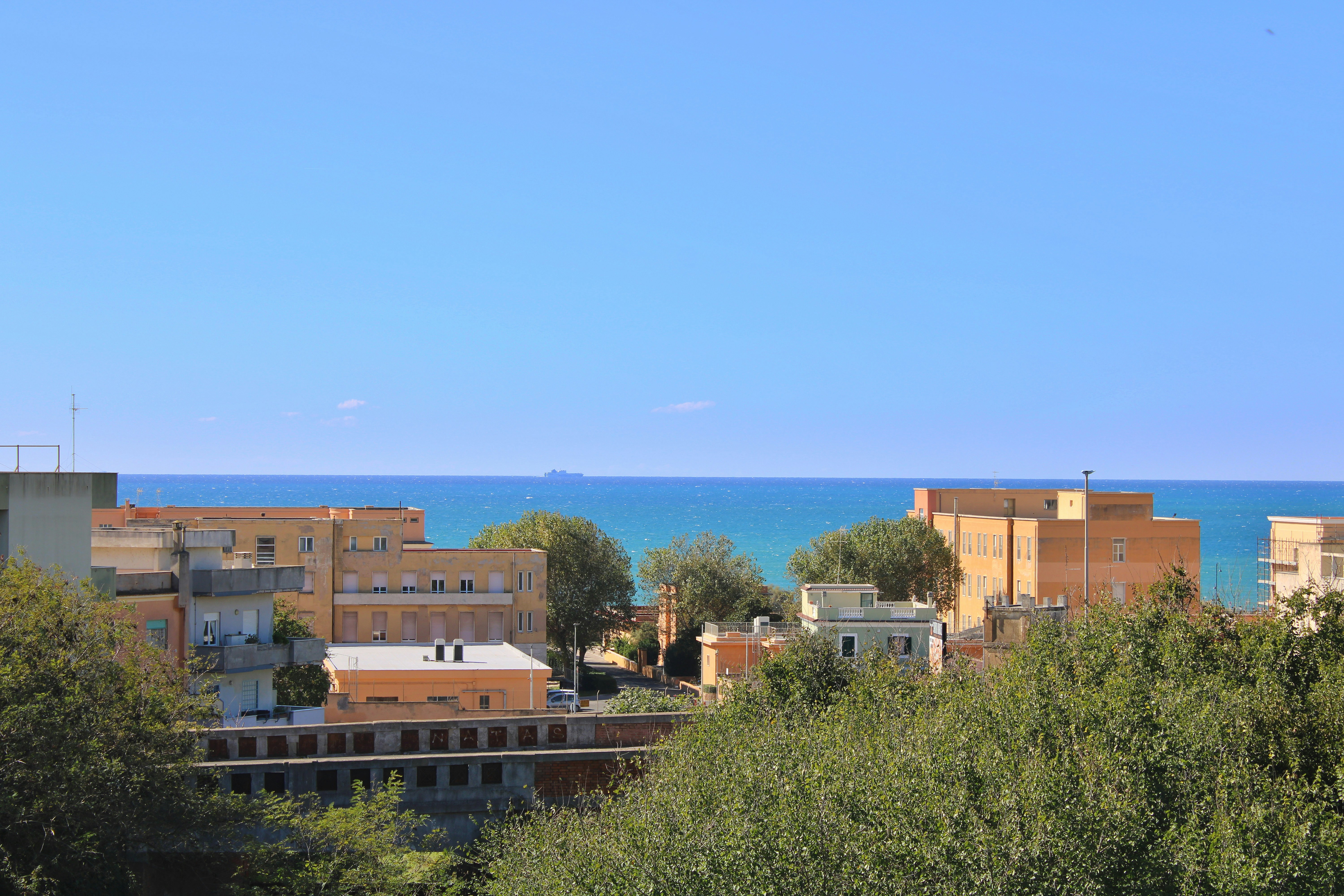 Coastal Cityscape Beneath a Clear Blue Sky