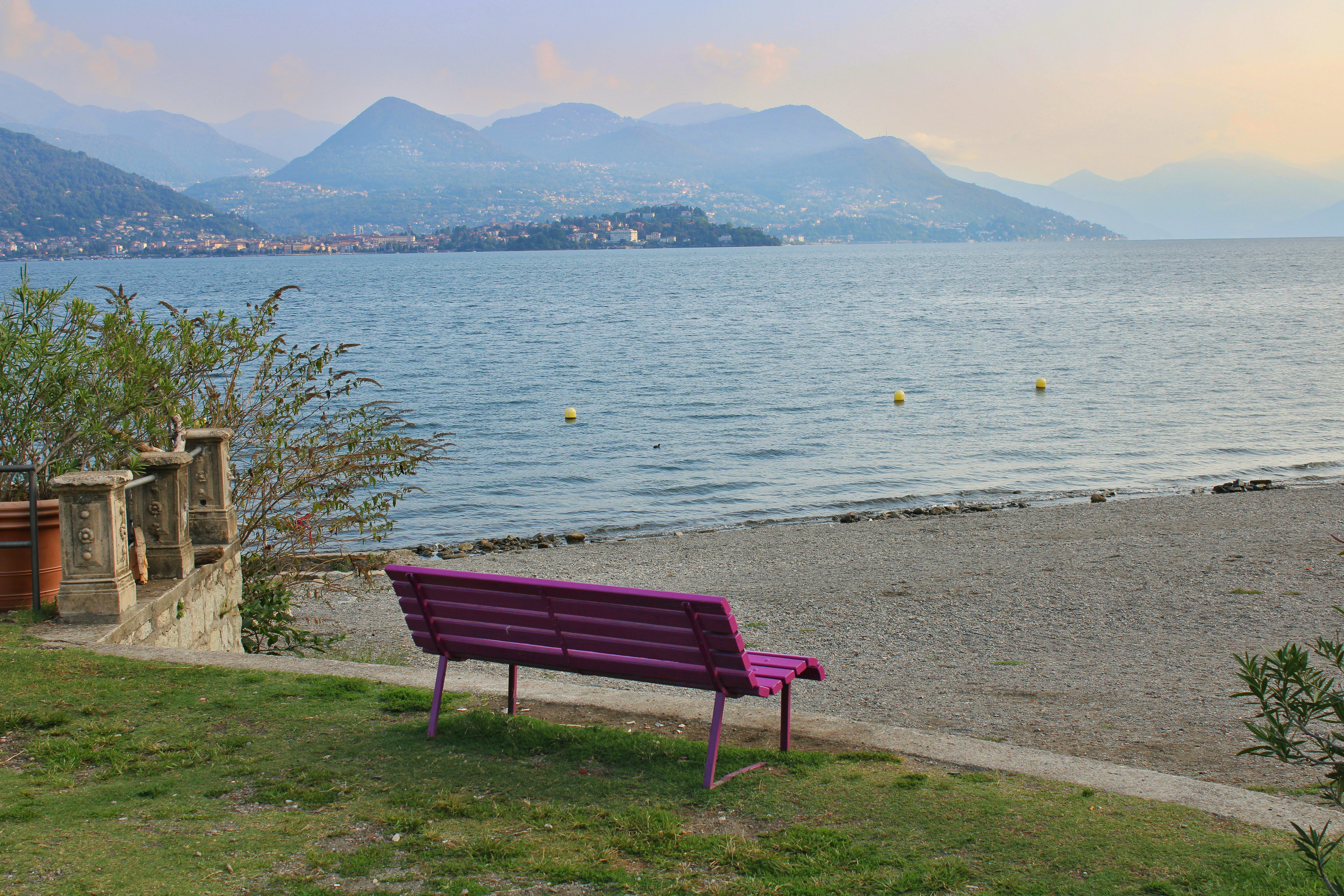Purple Bench by the Lake: Quiet Pause Ahead