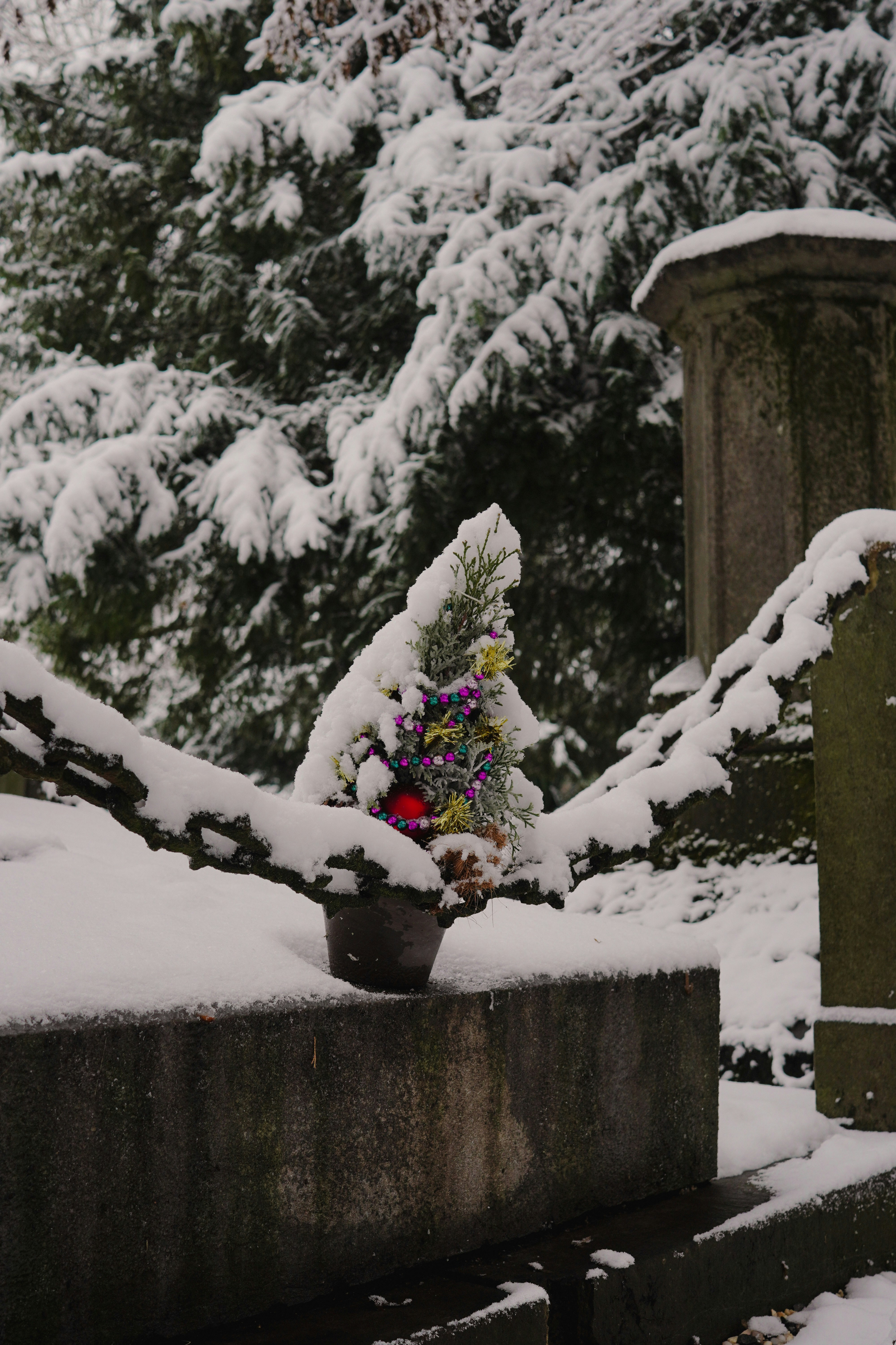 Winter Offerings on a Snow-Capped Altar