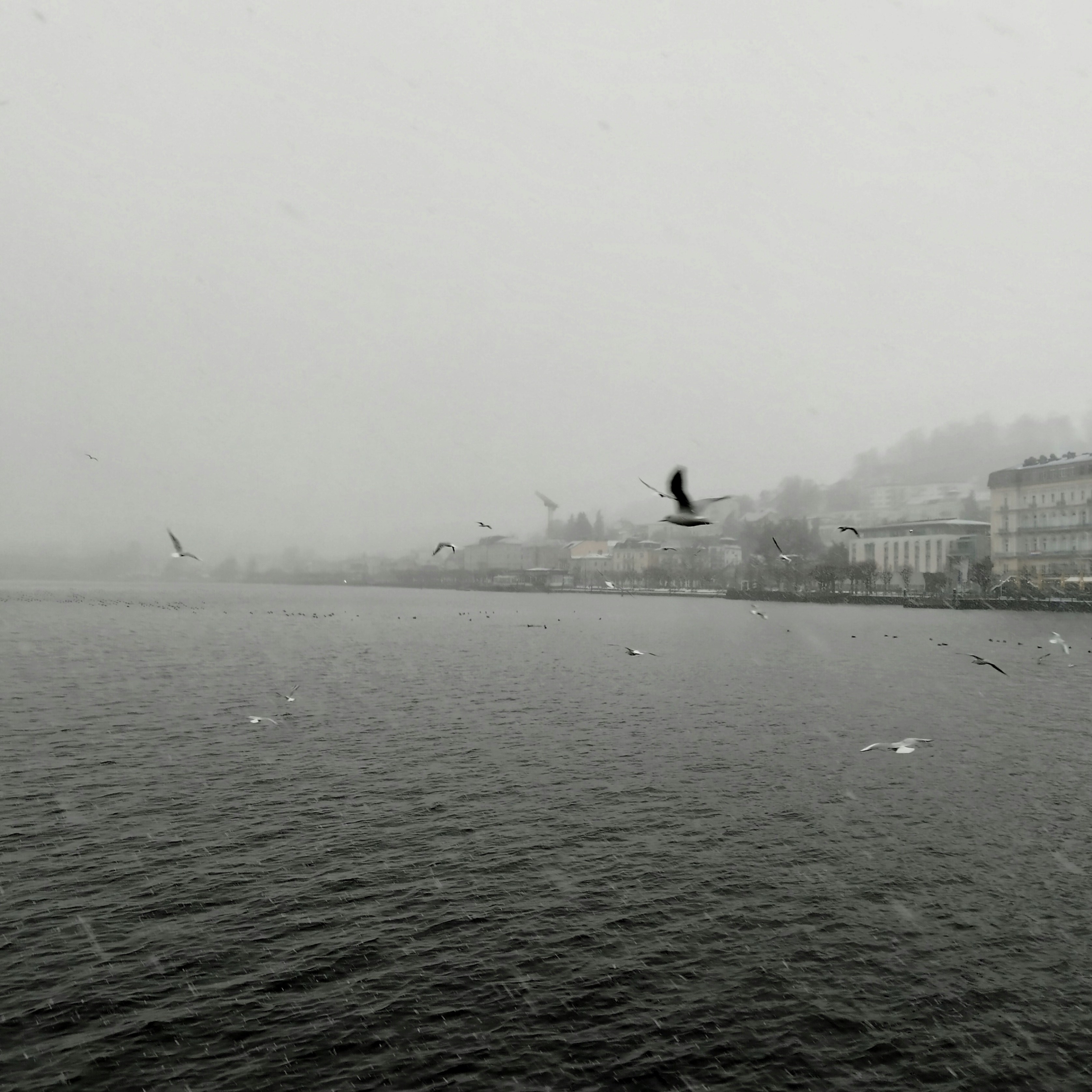 Seagulls fly over a choppy lake during a snowfall.