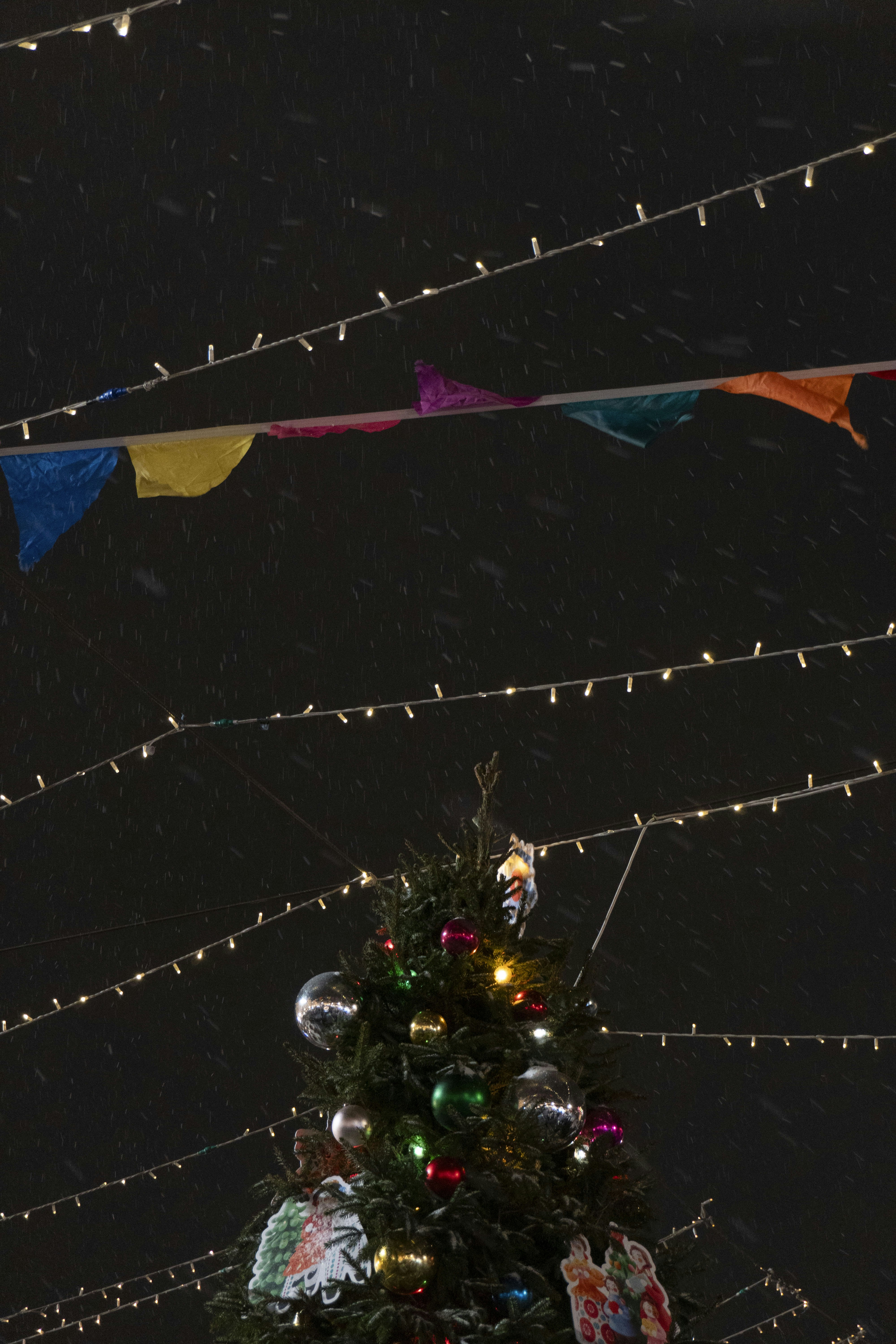 Snowfall Under Festoon Lights: A Christmas Tree Illuminated in Night