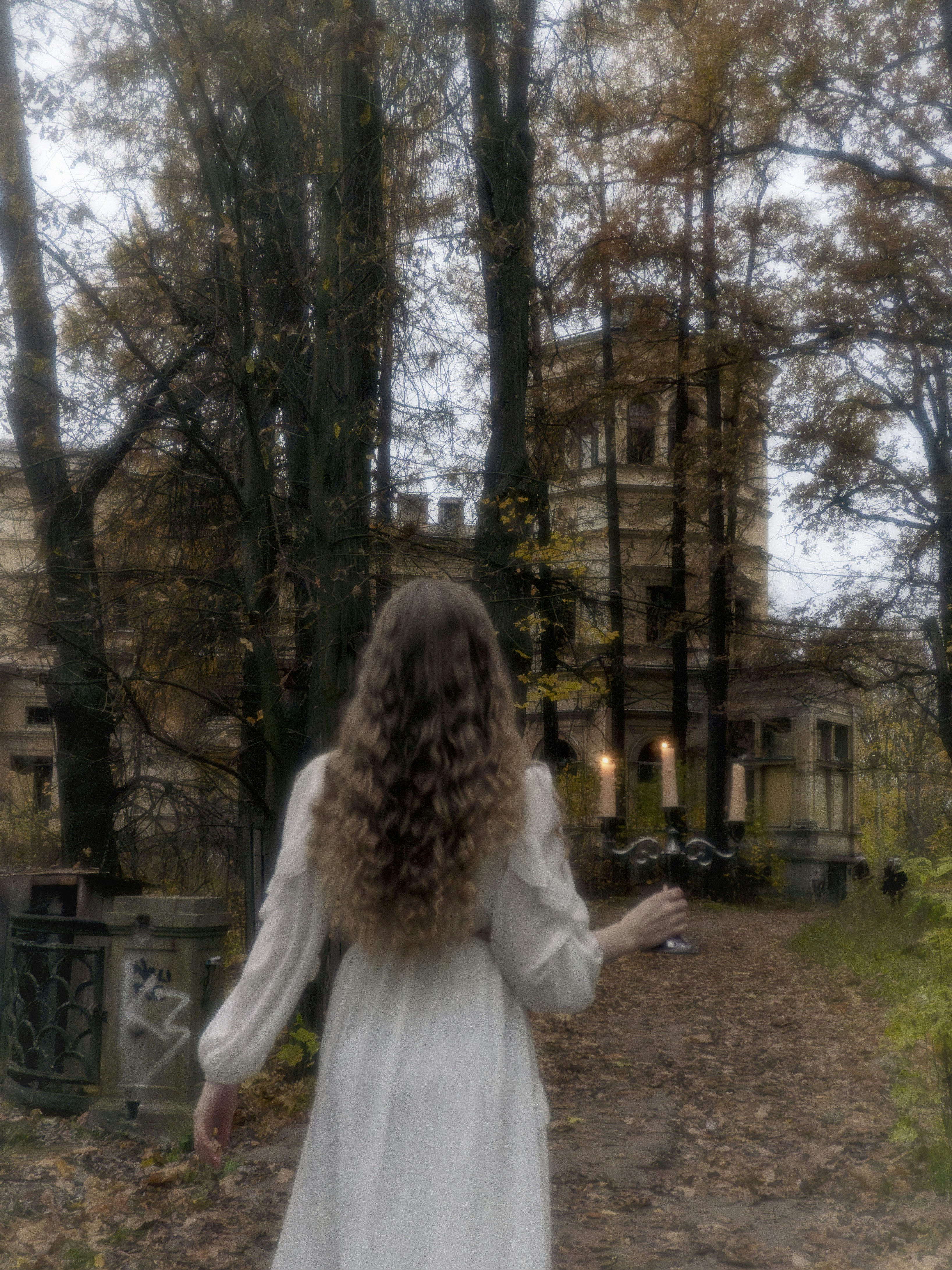 Whispering Steps: A Guest in the Autumned Courtyard