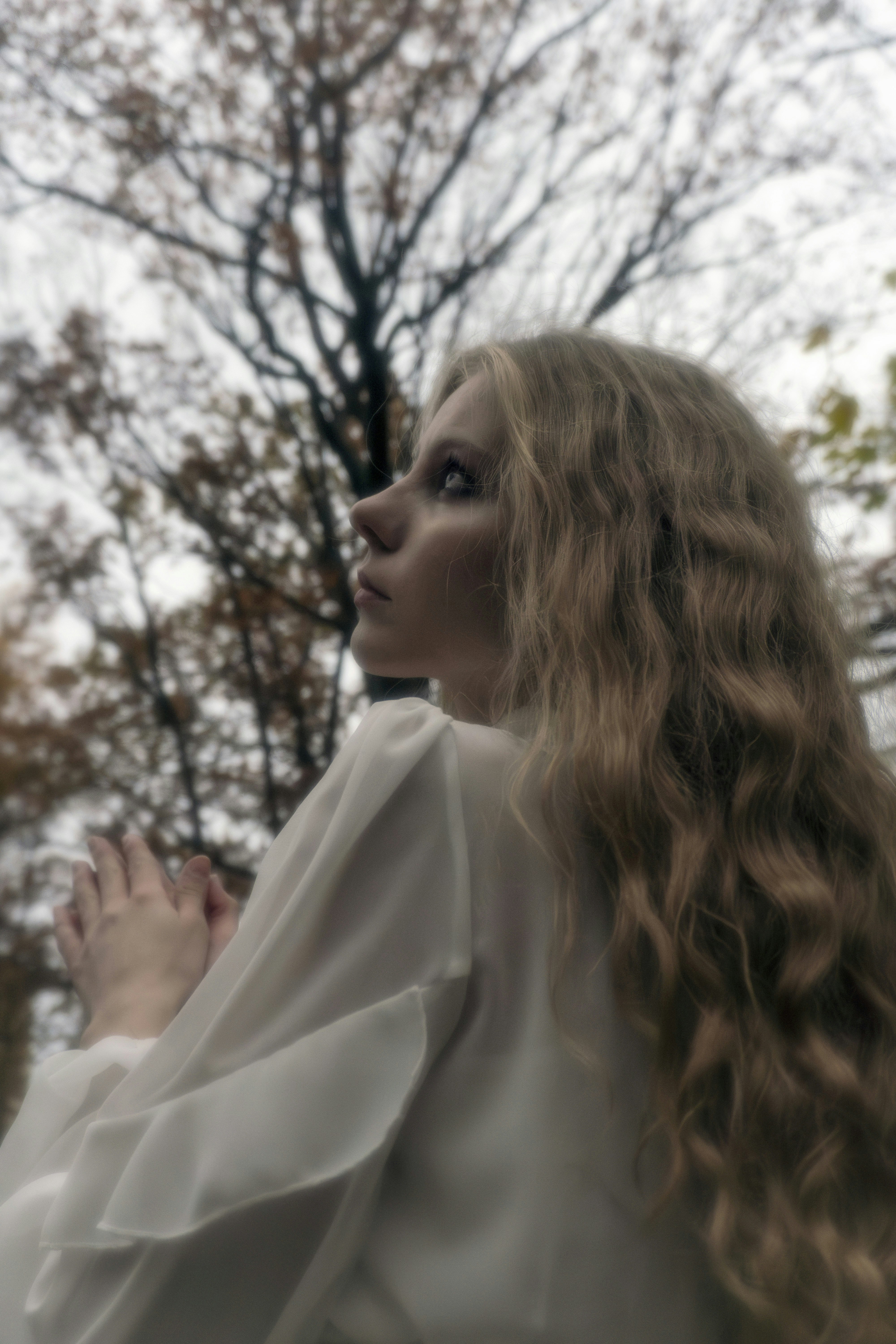 Portrait in the Fall Light: A Side Glance Through Flowing Curls