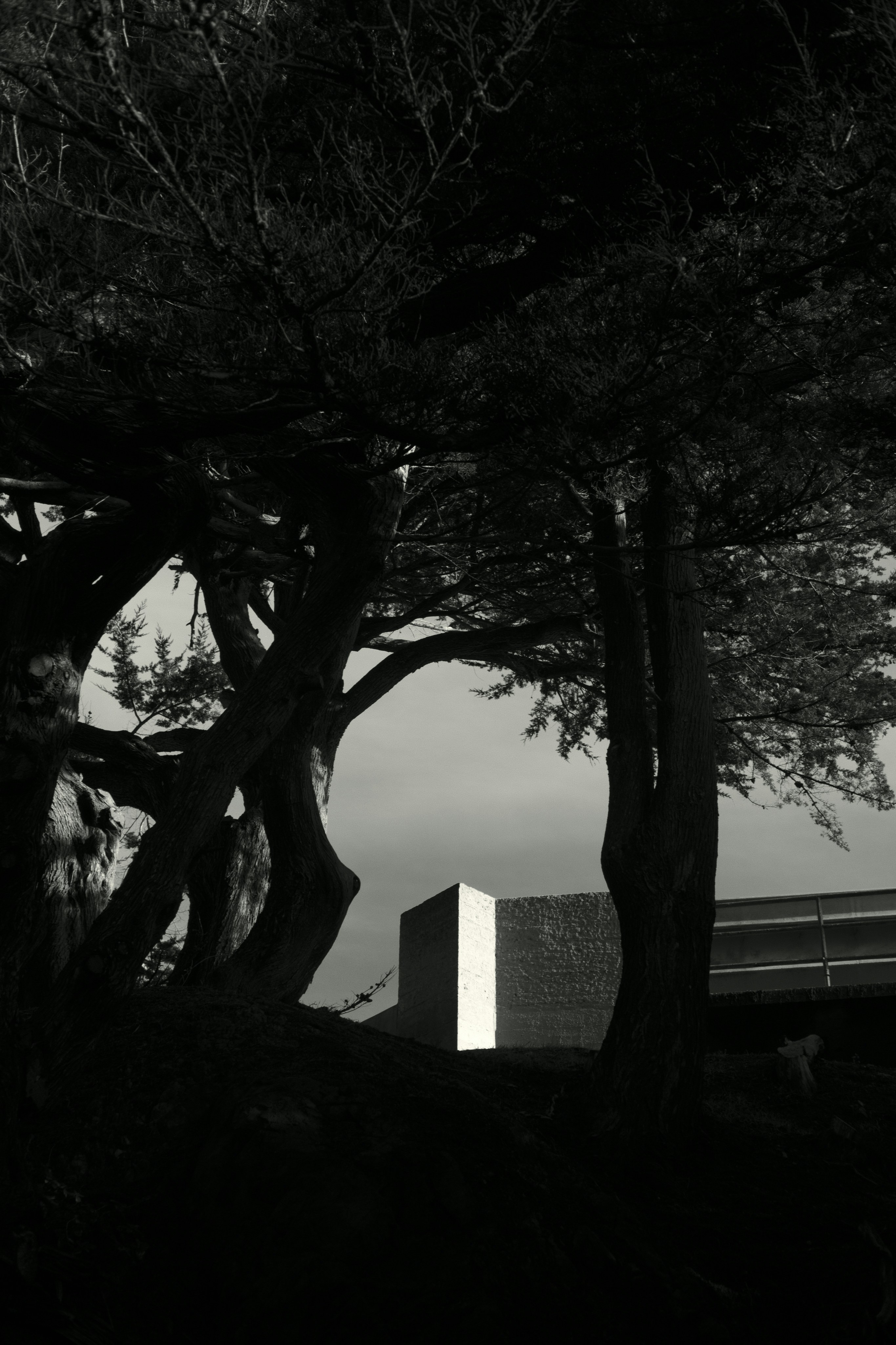 Hidden Geometry: Concrete Prism Among Silent Pines
