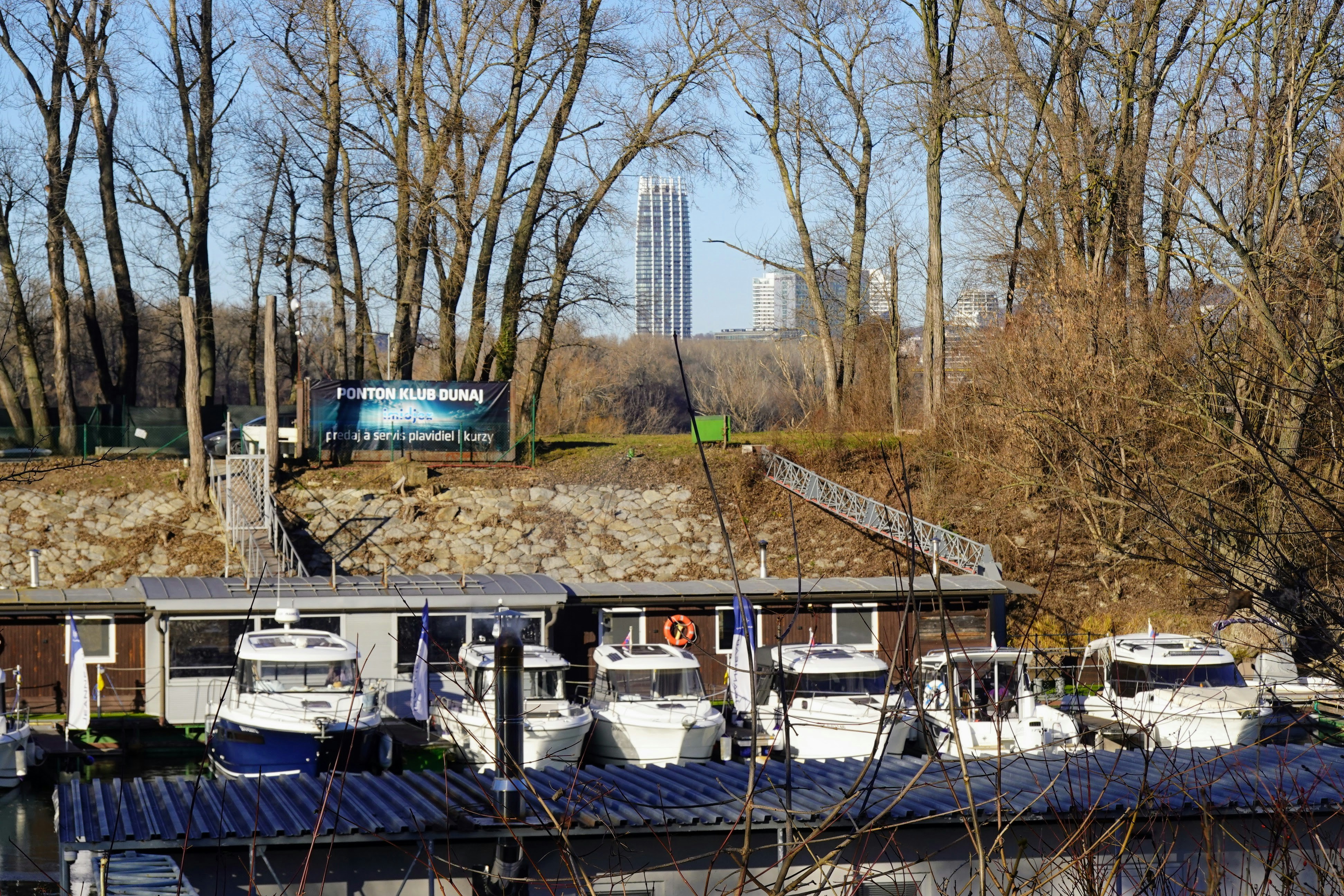 Marina in Winter Light: Boats Rest Under Bare Branches
