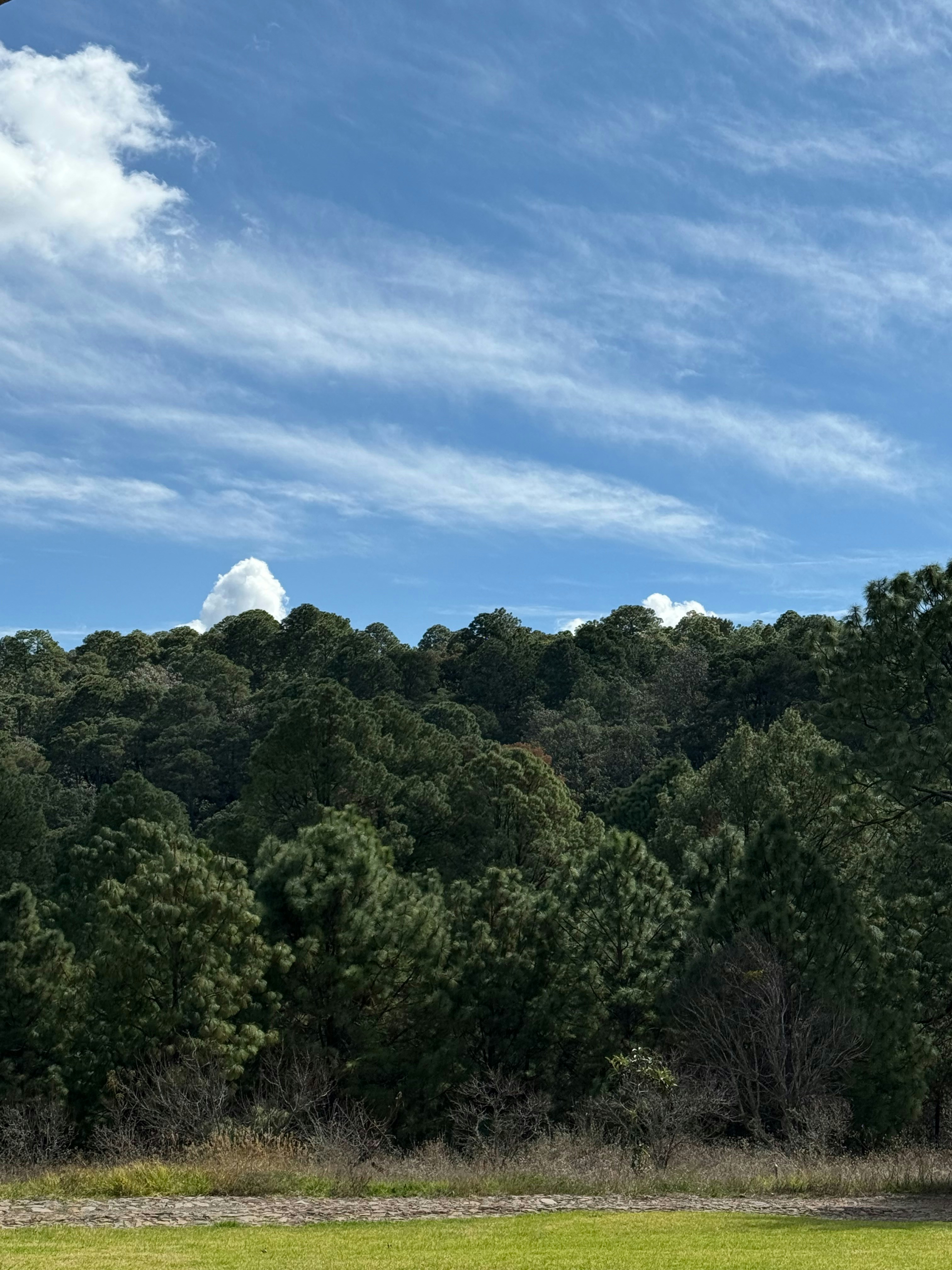 Ridge Line under a Wide Blue Sky