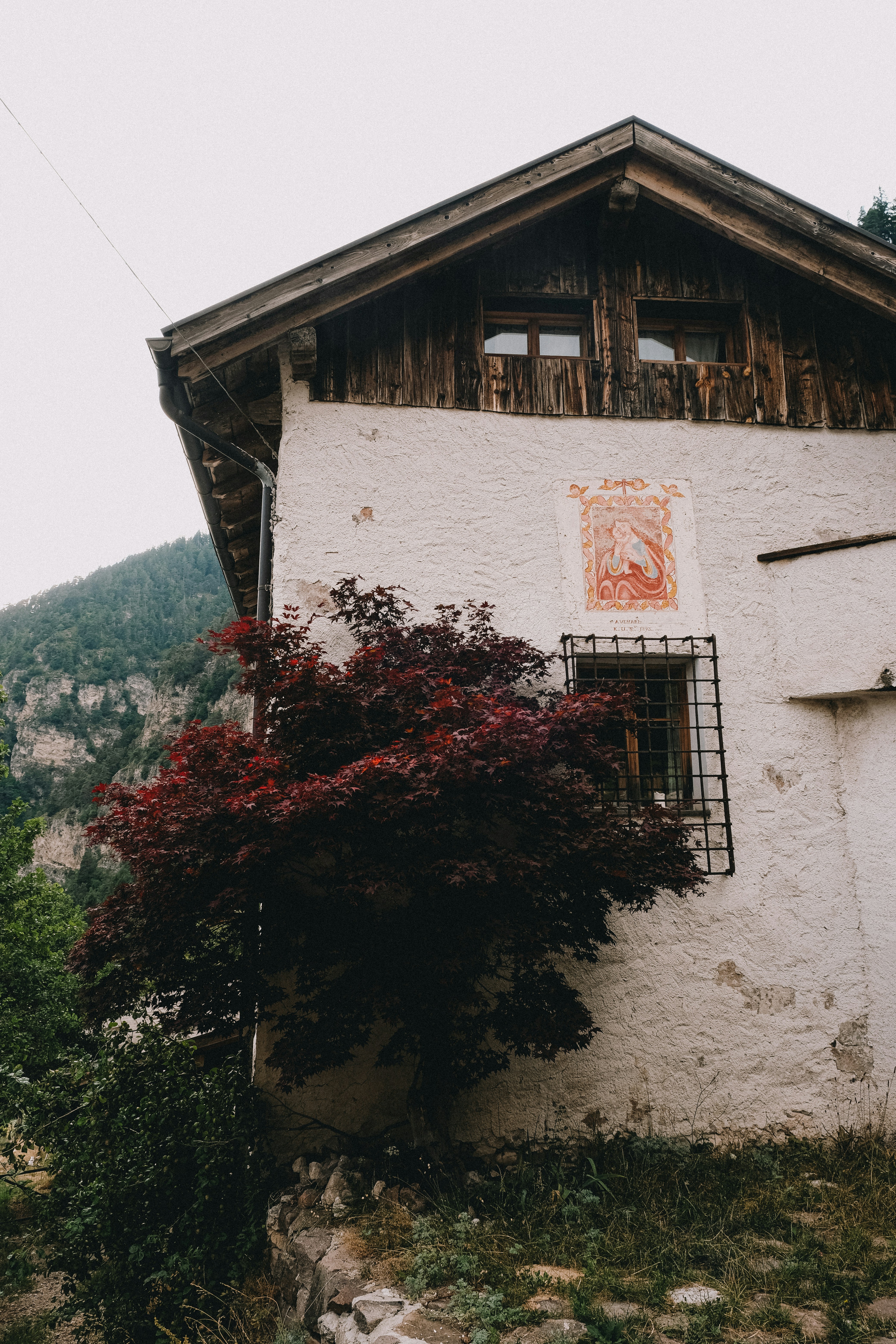 Rustic Chalet Portrait: A Windowed House Framed by Crimson Vines