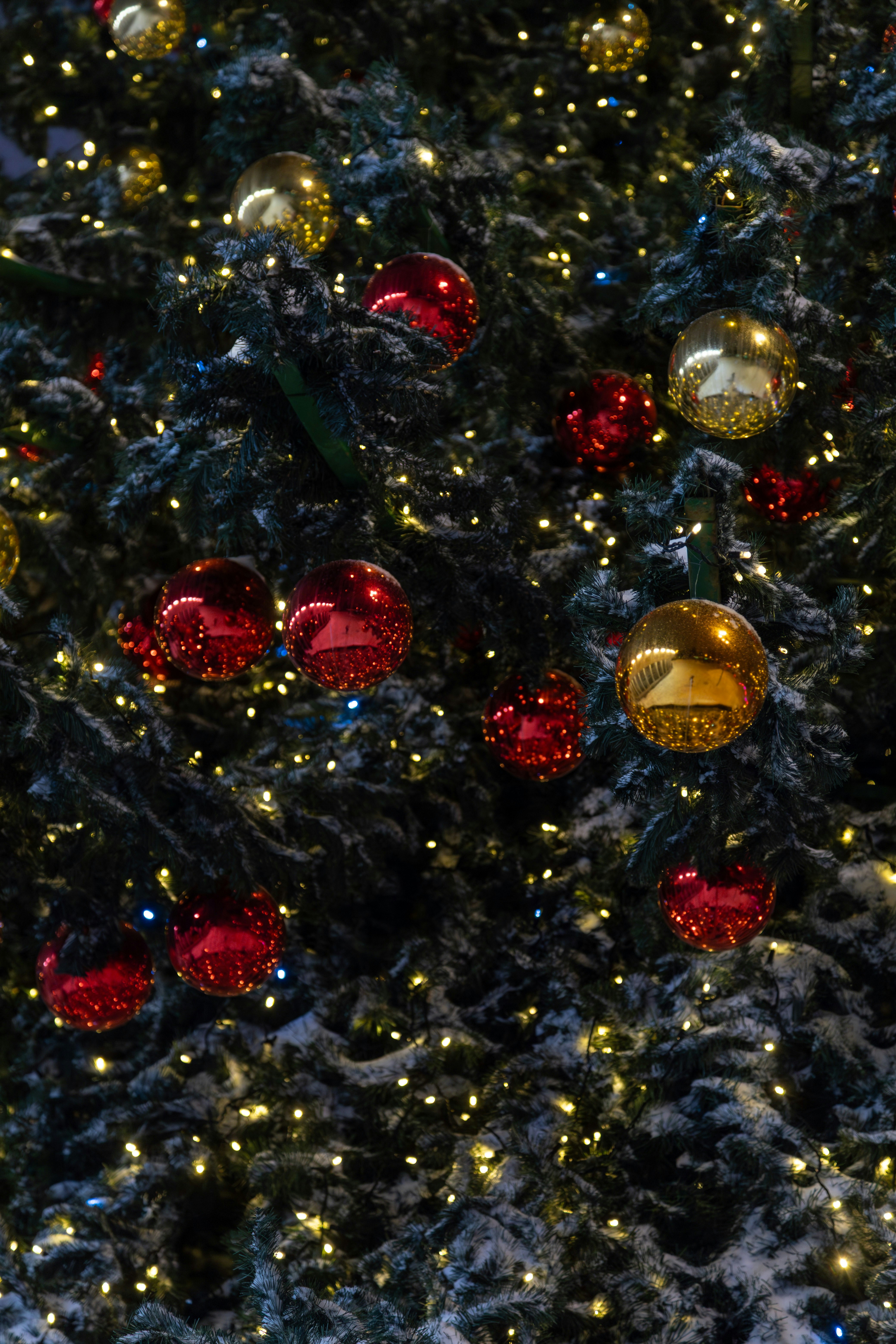 Glowing Orbs in a Snow-Dusted Christmas Tree