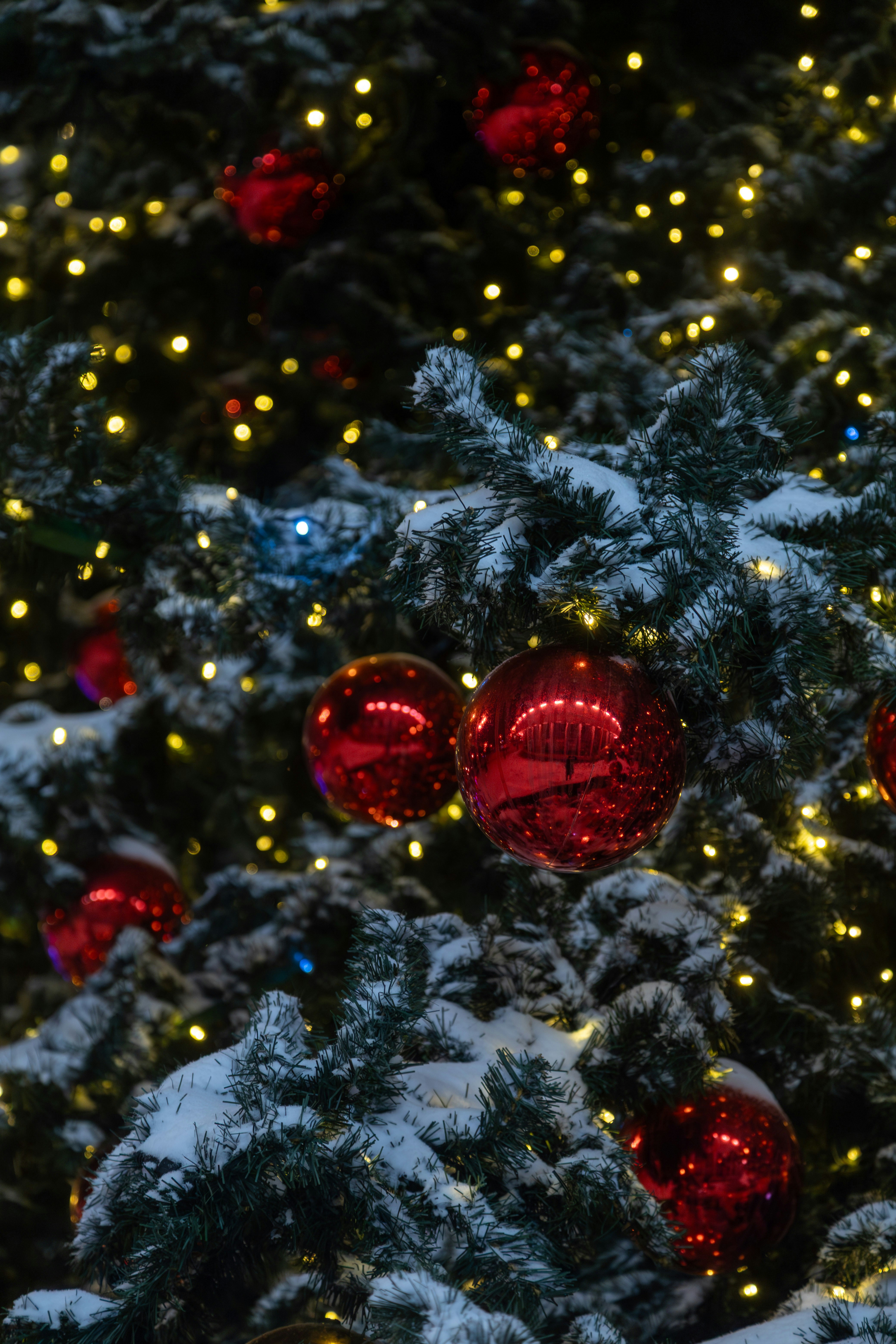 Snow-Kissed Christmas Orbs Amid Warm Lights