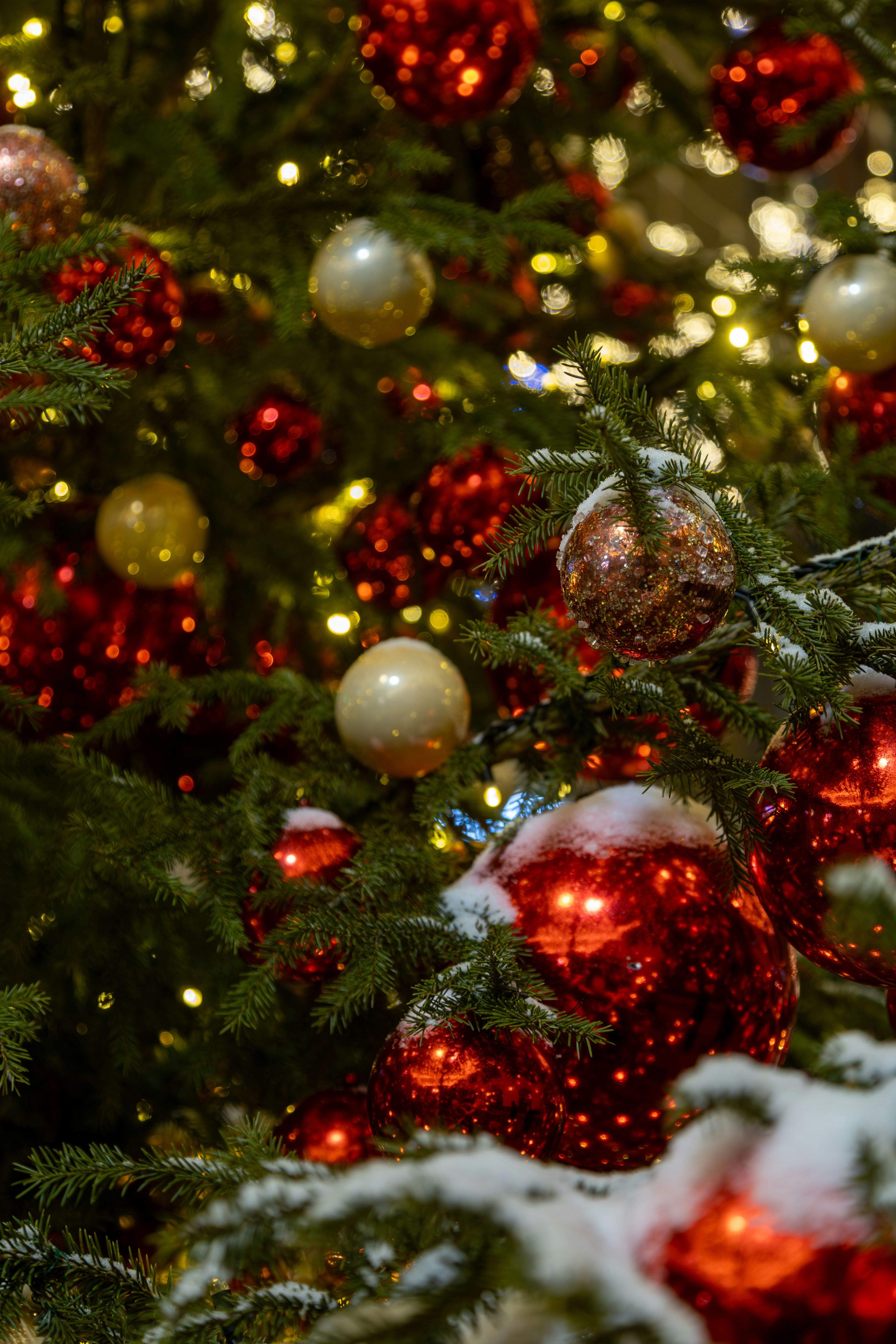 Anton Tupikin (@dobotr) | Unsplash Photo Community