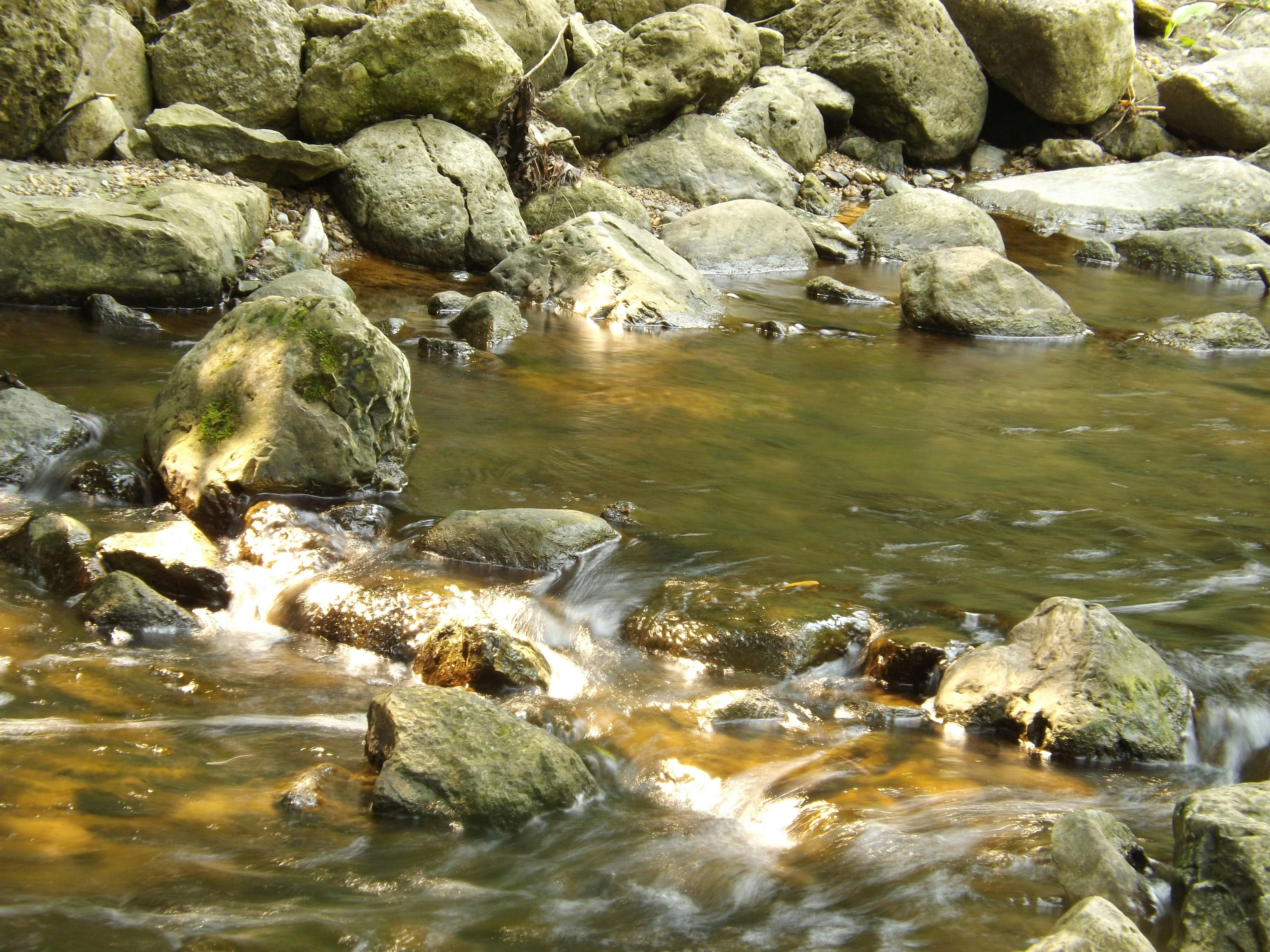 A shallow stream flows over mossy rocks. photo – Free Waterfall Image ...