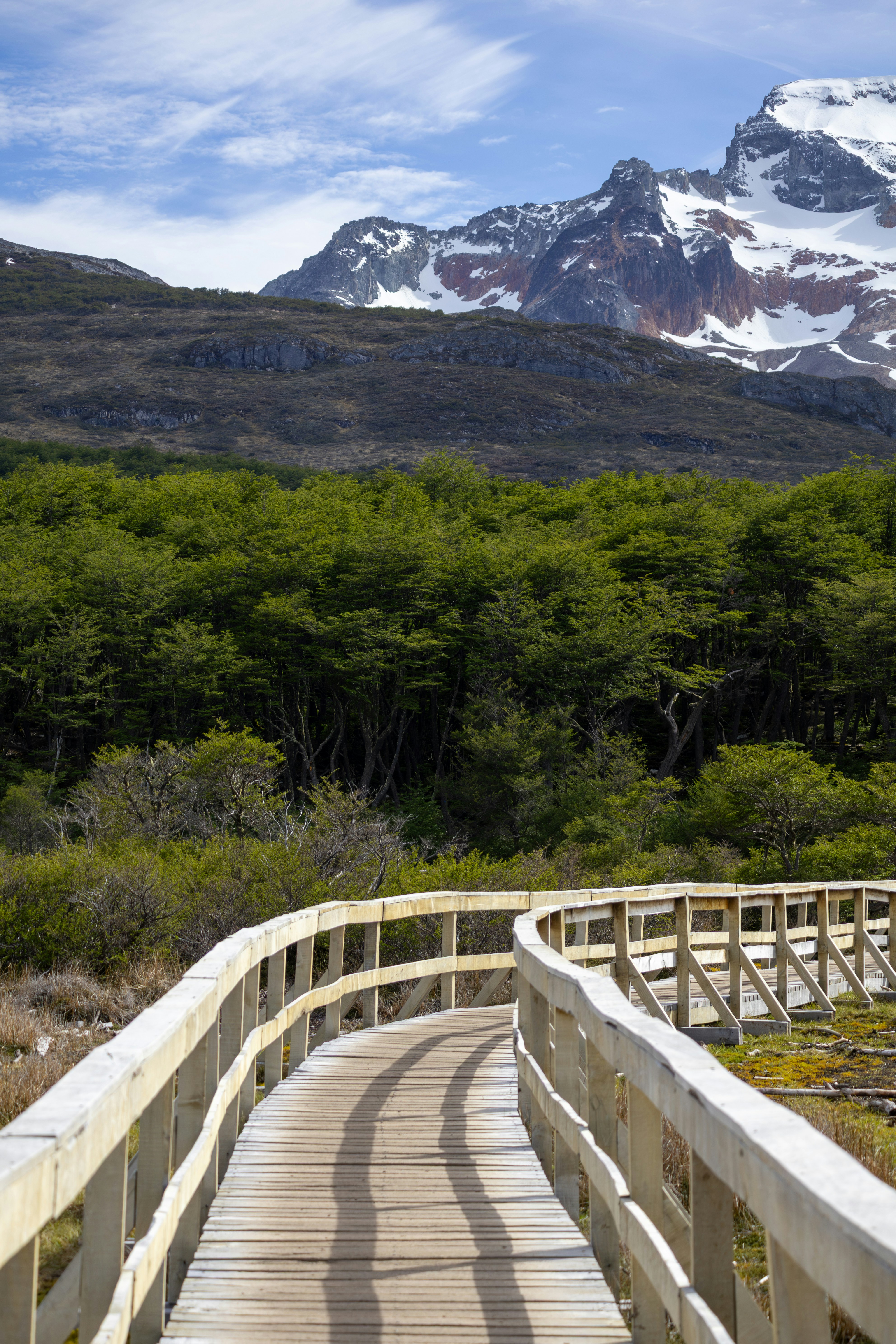 Wooden Promenade into the Mountain Tapestry