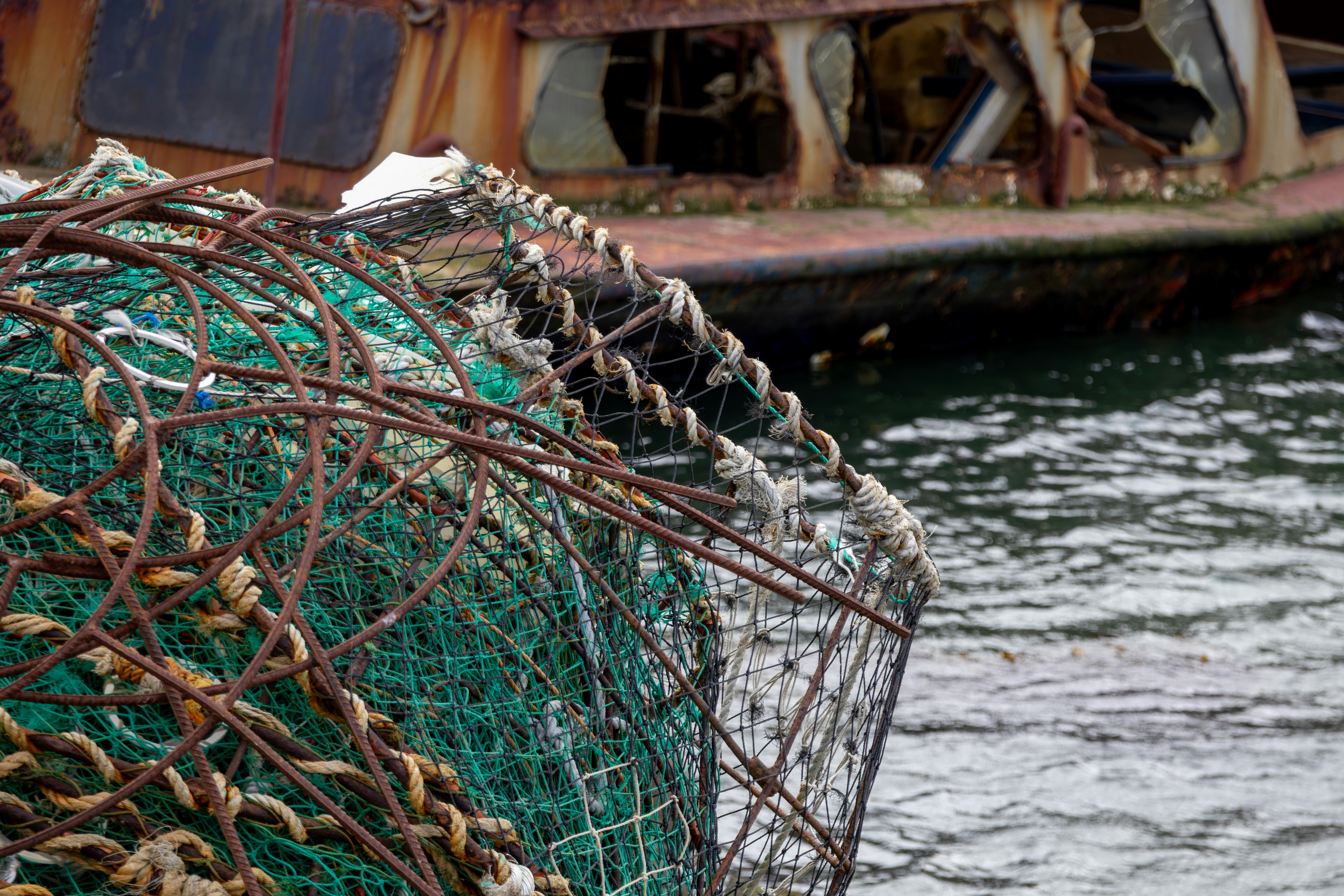 Tangled Nets by the Pier: a Study in Weathered Geometry