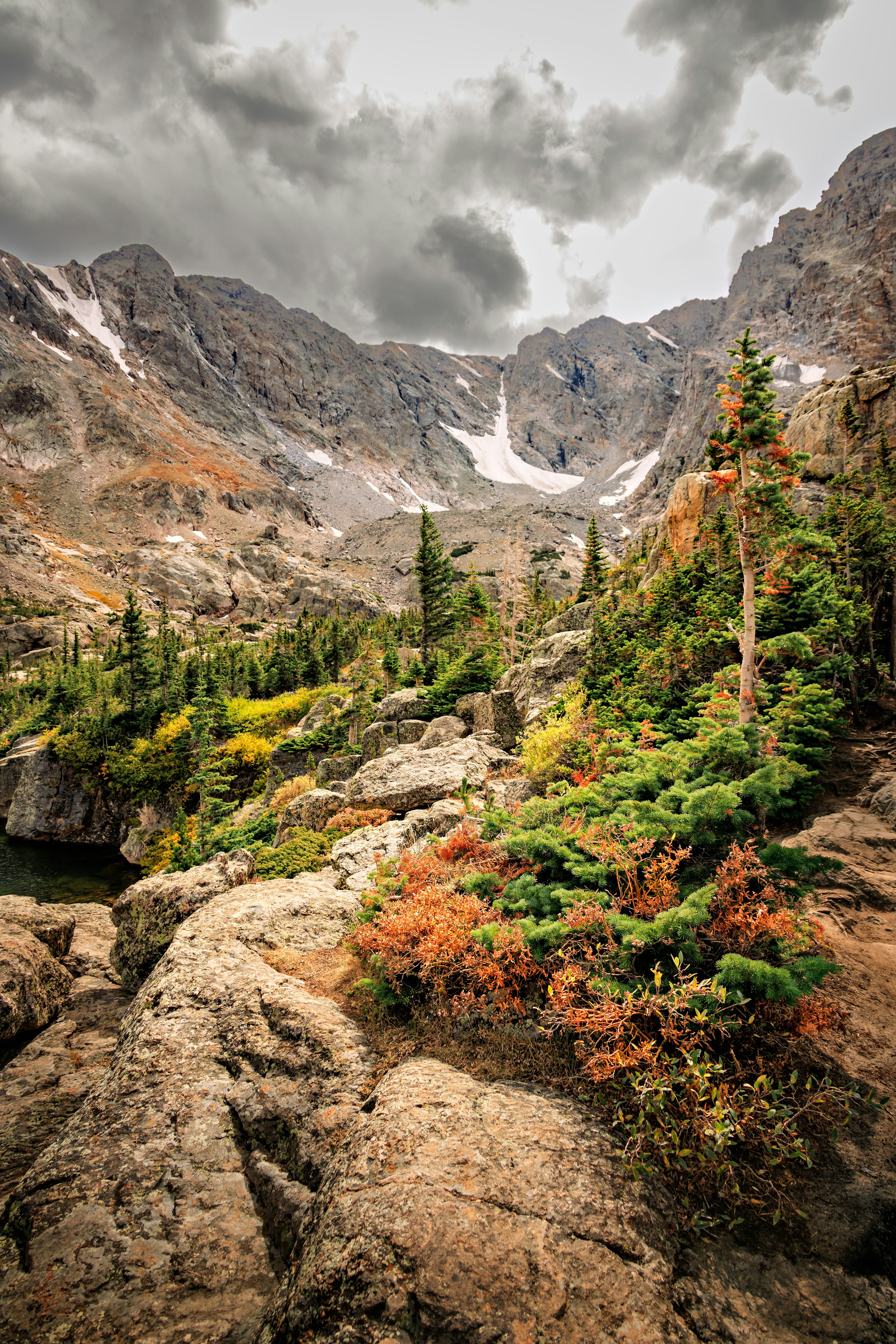 Alpine Wilderness: The Rocky Cascade Amid Pine and Snow Dust